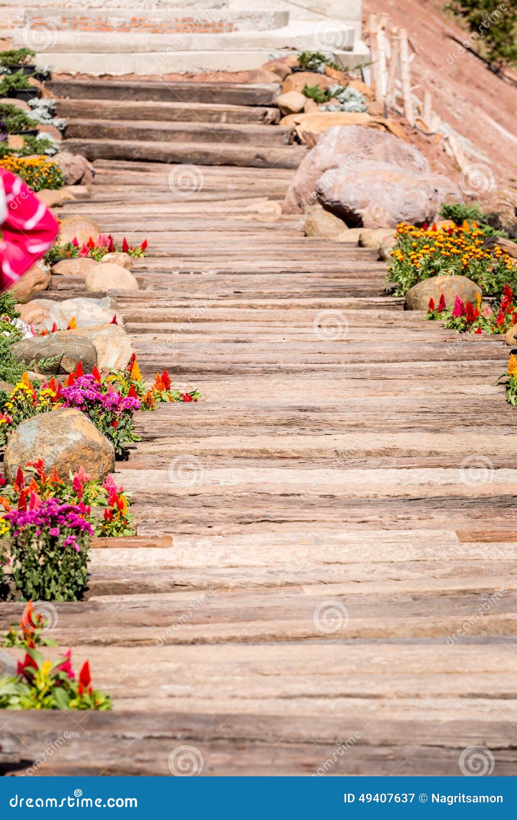 Wood Pathway Royalty-Free Stock Photography | CartoonDealer.com #41358857