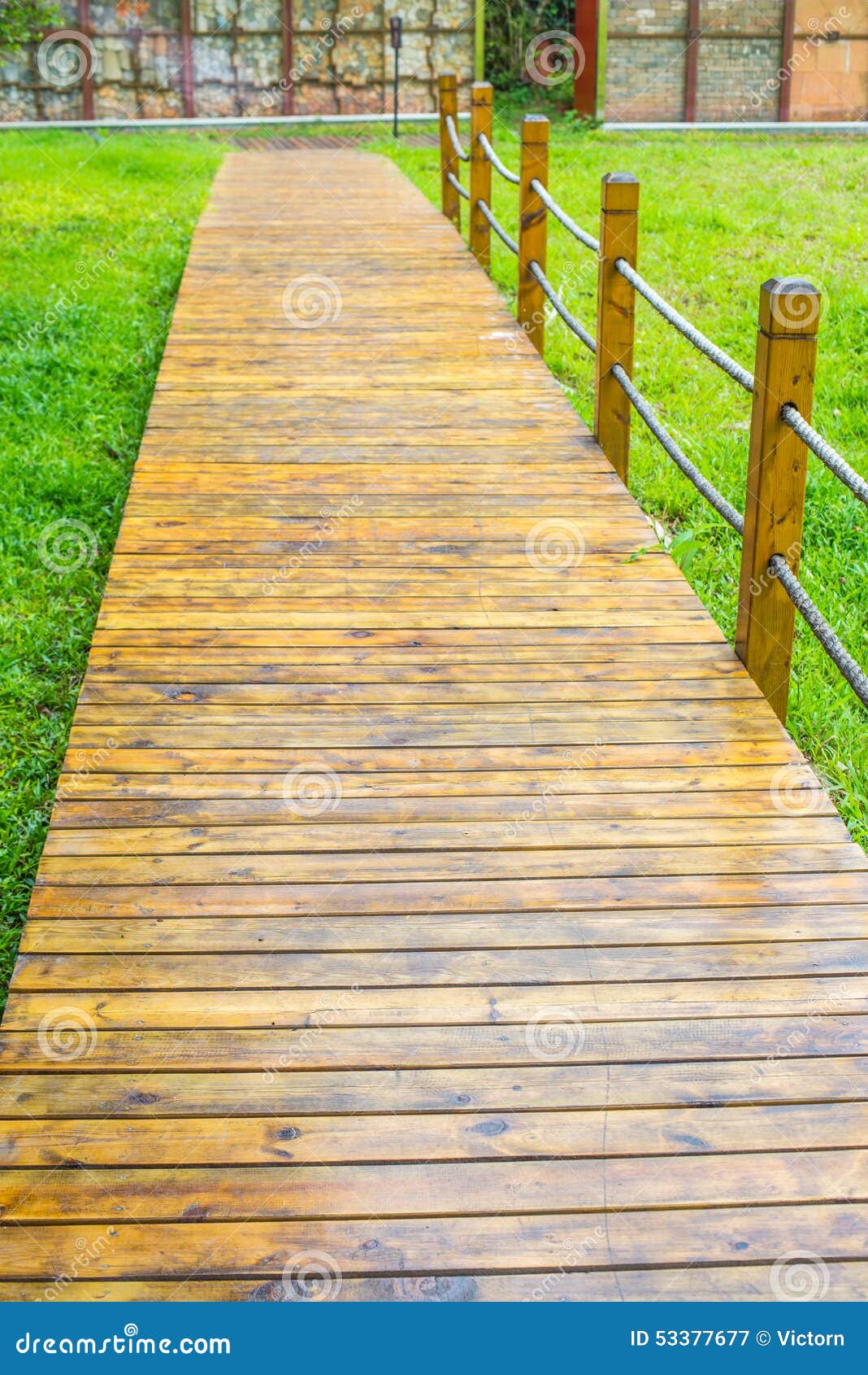 Wood pathway stock image. Image of tree, summer, wood - 53377677