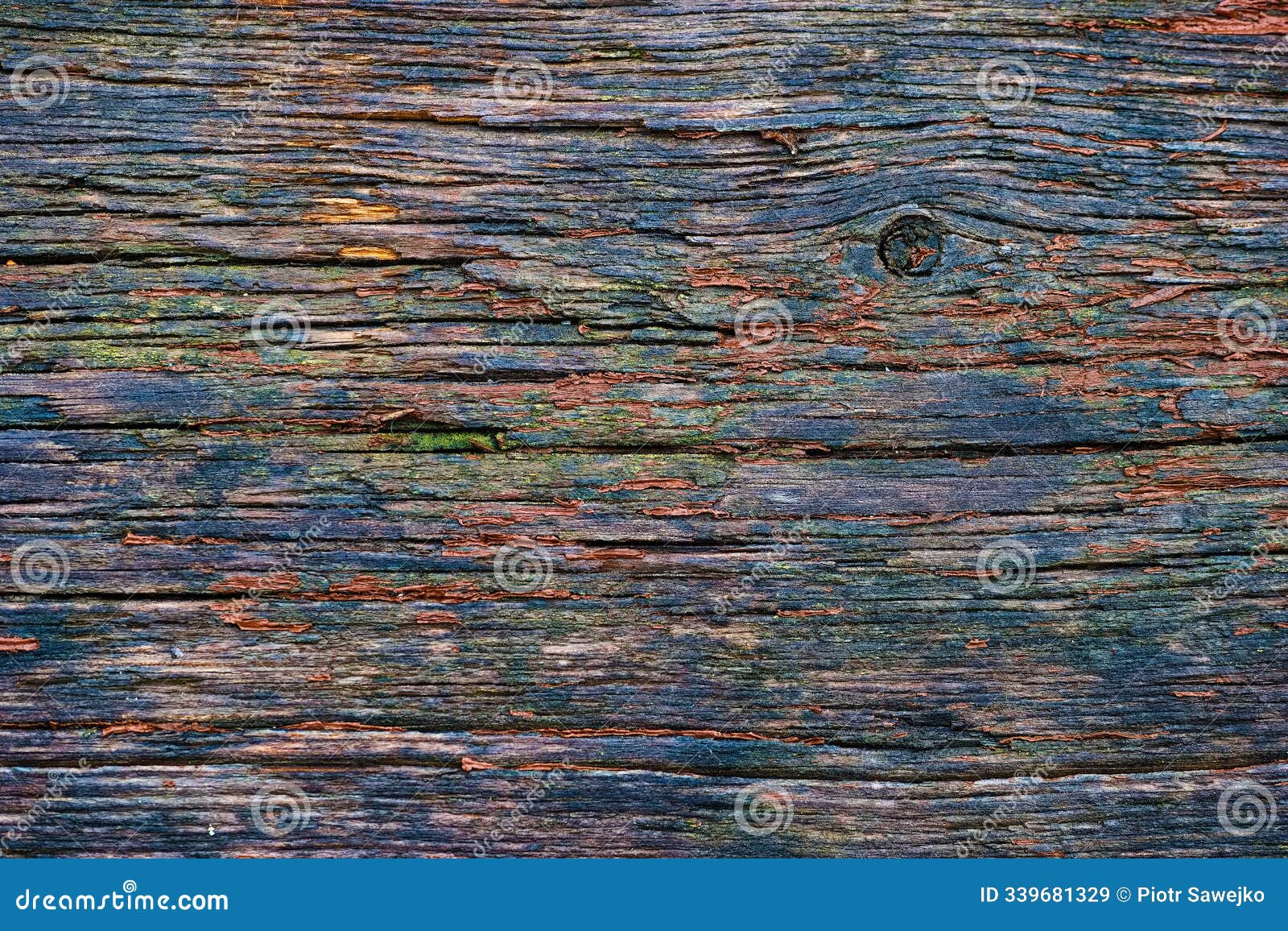 Wood, Pattern, Background, Rings, Nature, Old, Park, Tree, Botan Stock ...