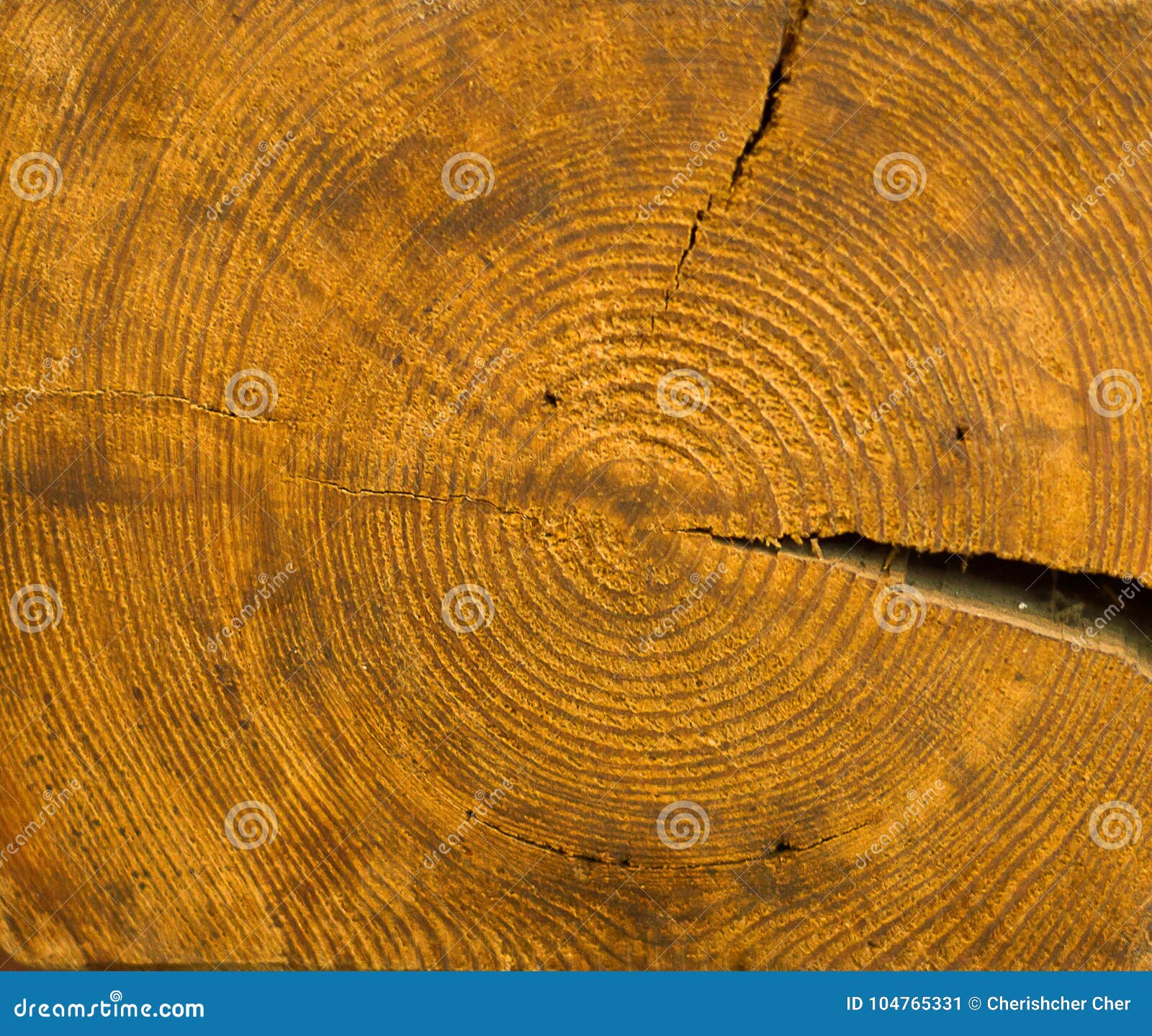 Wood Pattern from Real Wood. Stock Image - Image of material, wood ...
