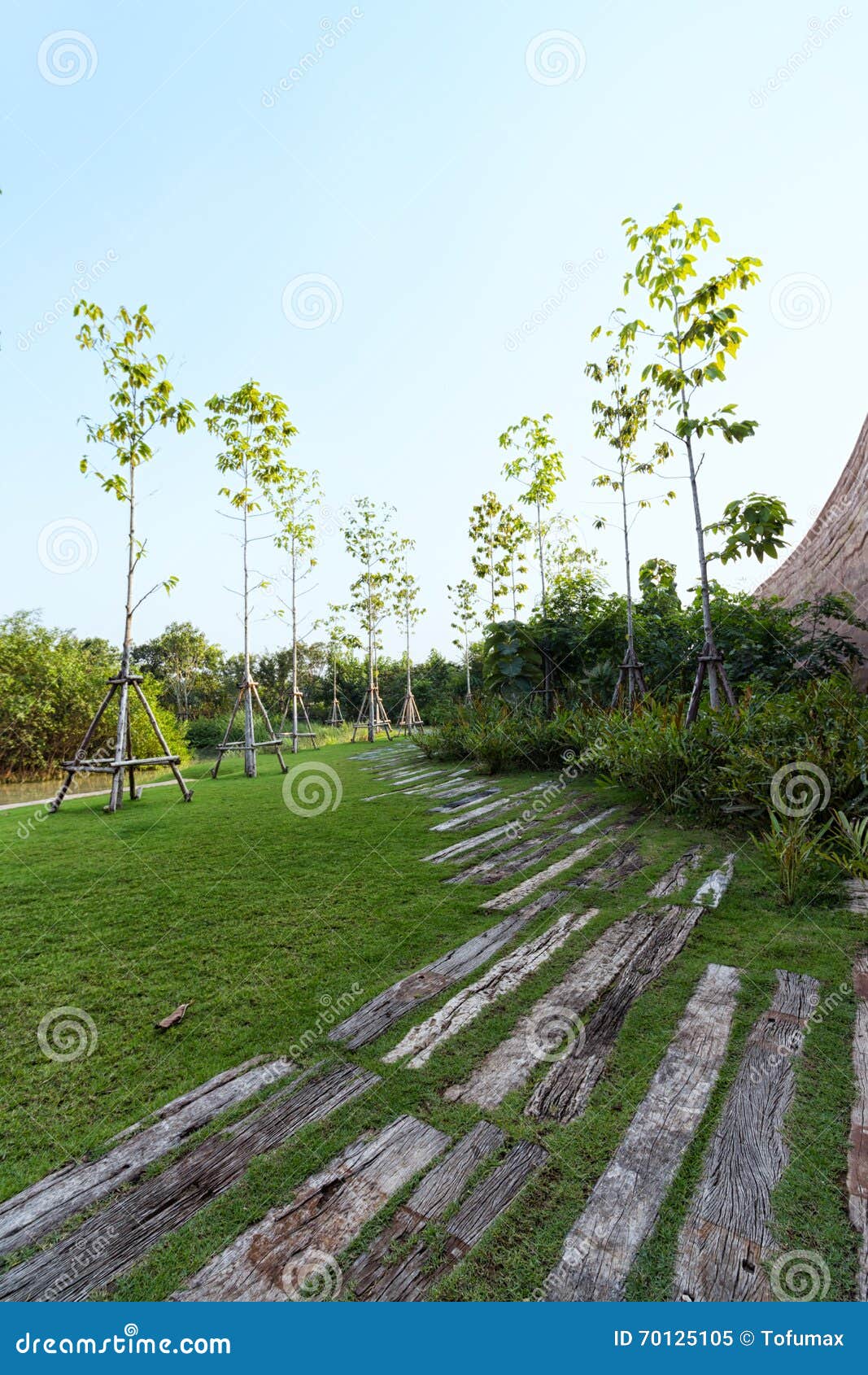 Wood pavement in Park stock image. Image of walkway, walk - 70125105