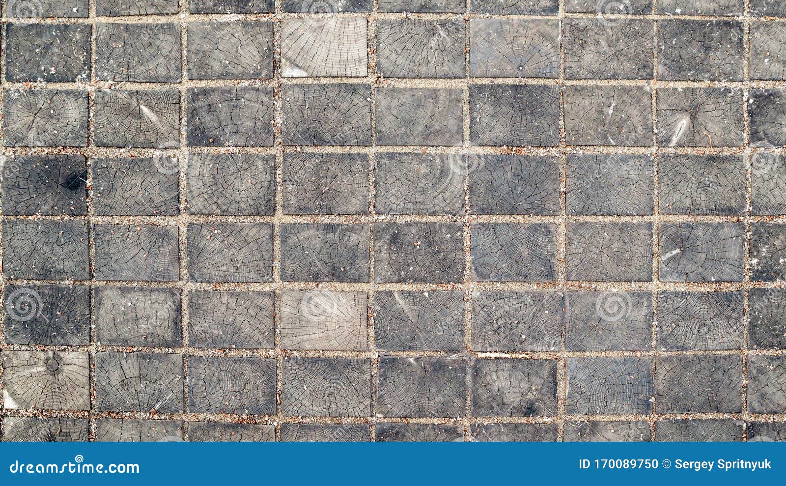 Wood pavers, texture stock photo. Image of building - 170089750