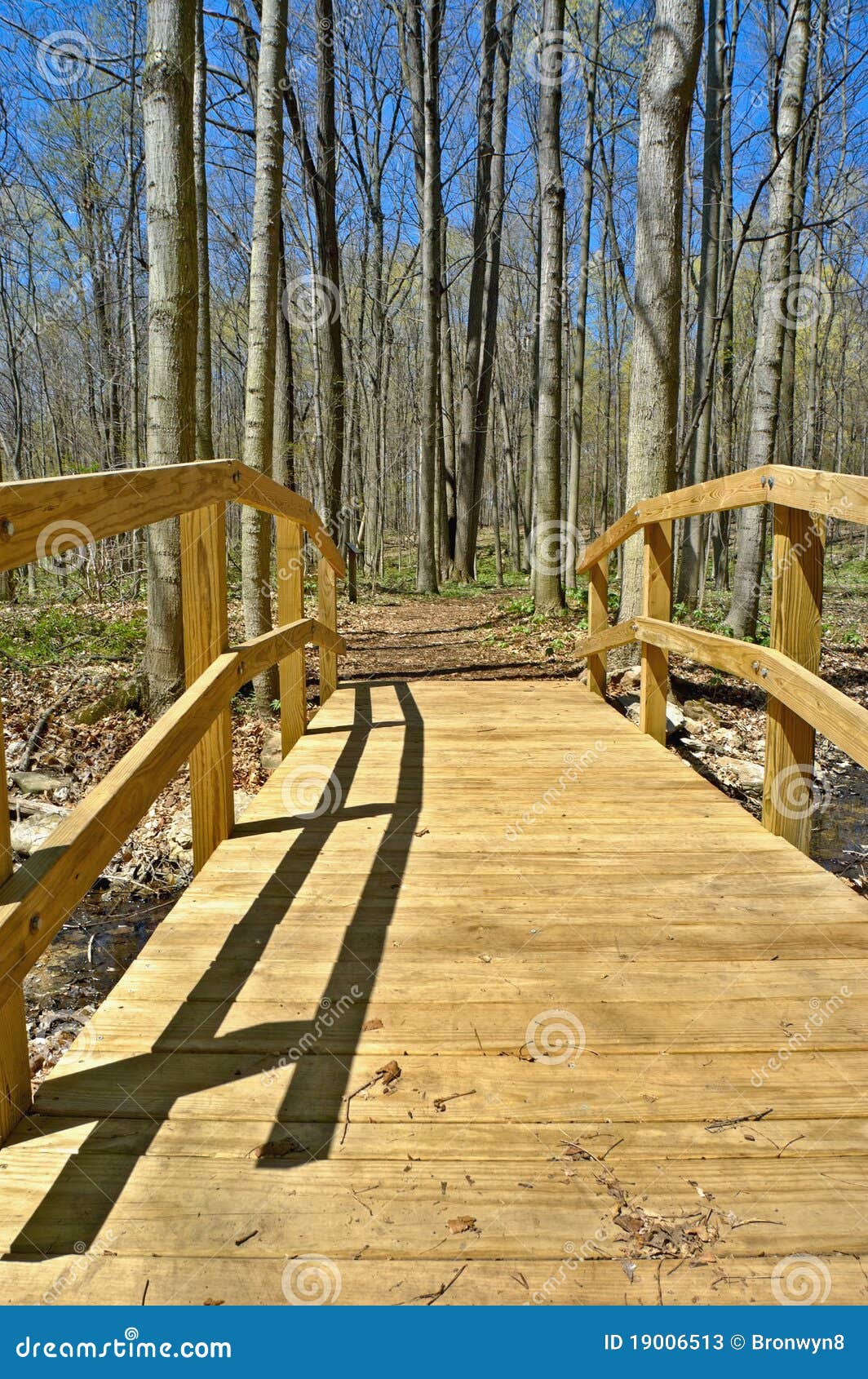 Wood Pedestrian Bridge stock image. Image of woods, bridge - 19006513