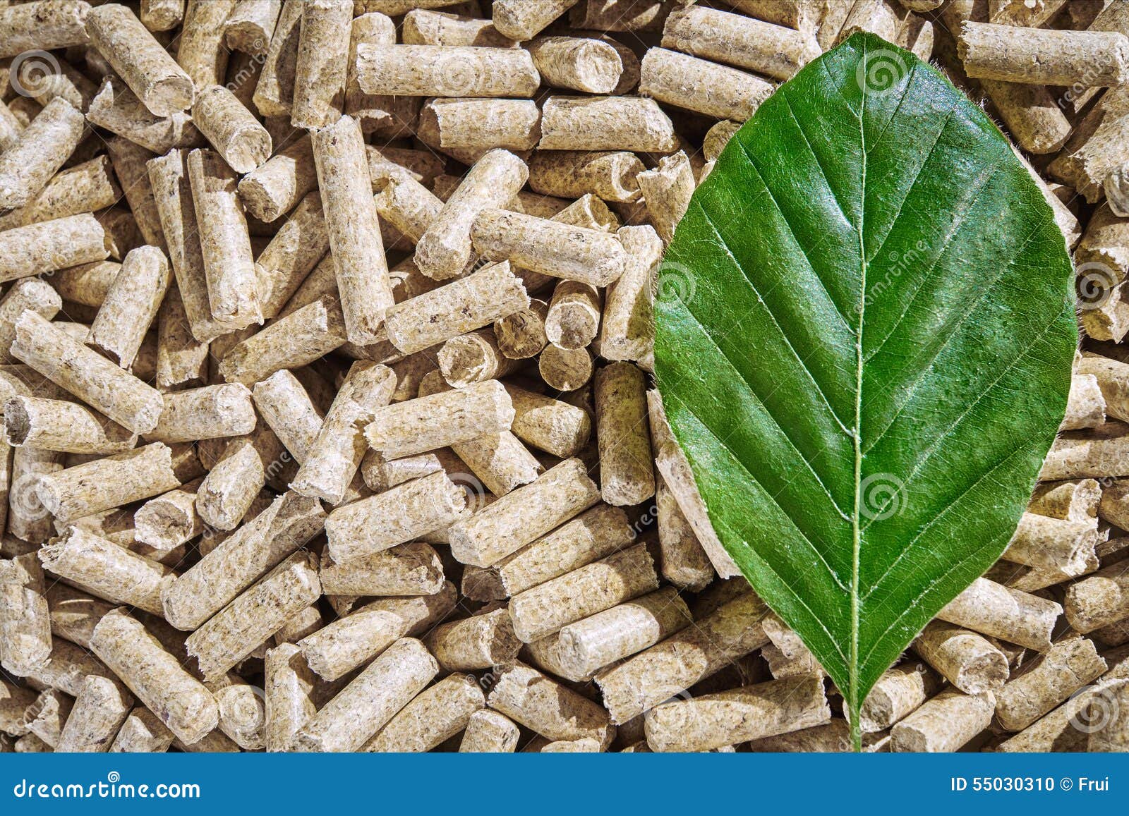 Wood pellets stock photo. Image of natural, green, energy - 55030310