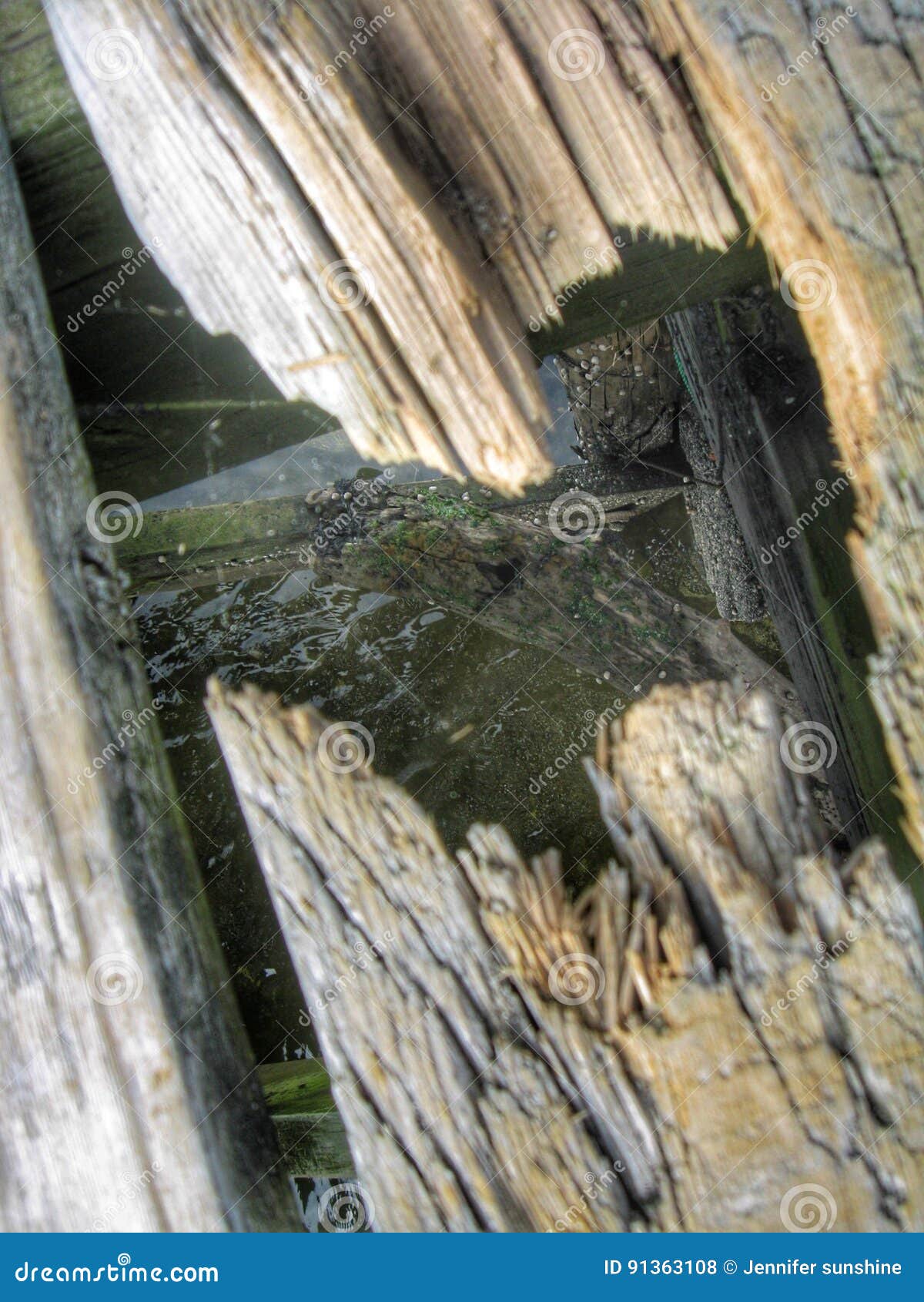 Wood stock photo. Image of piece, texture, board, wood - 91363108