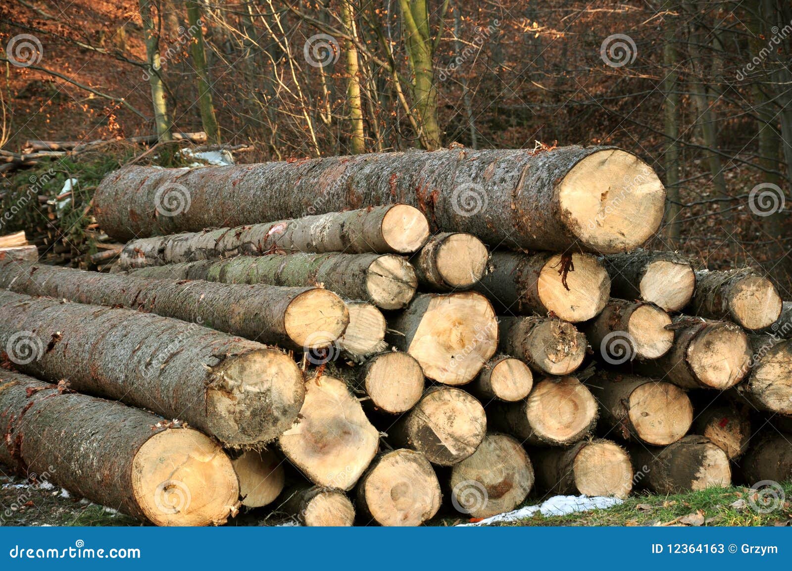 Wood pieces stock image. Image of forestation, fireplace - 12364163