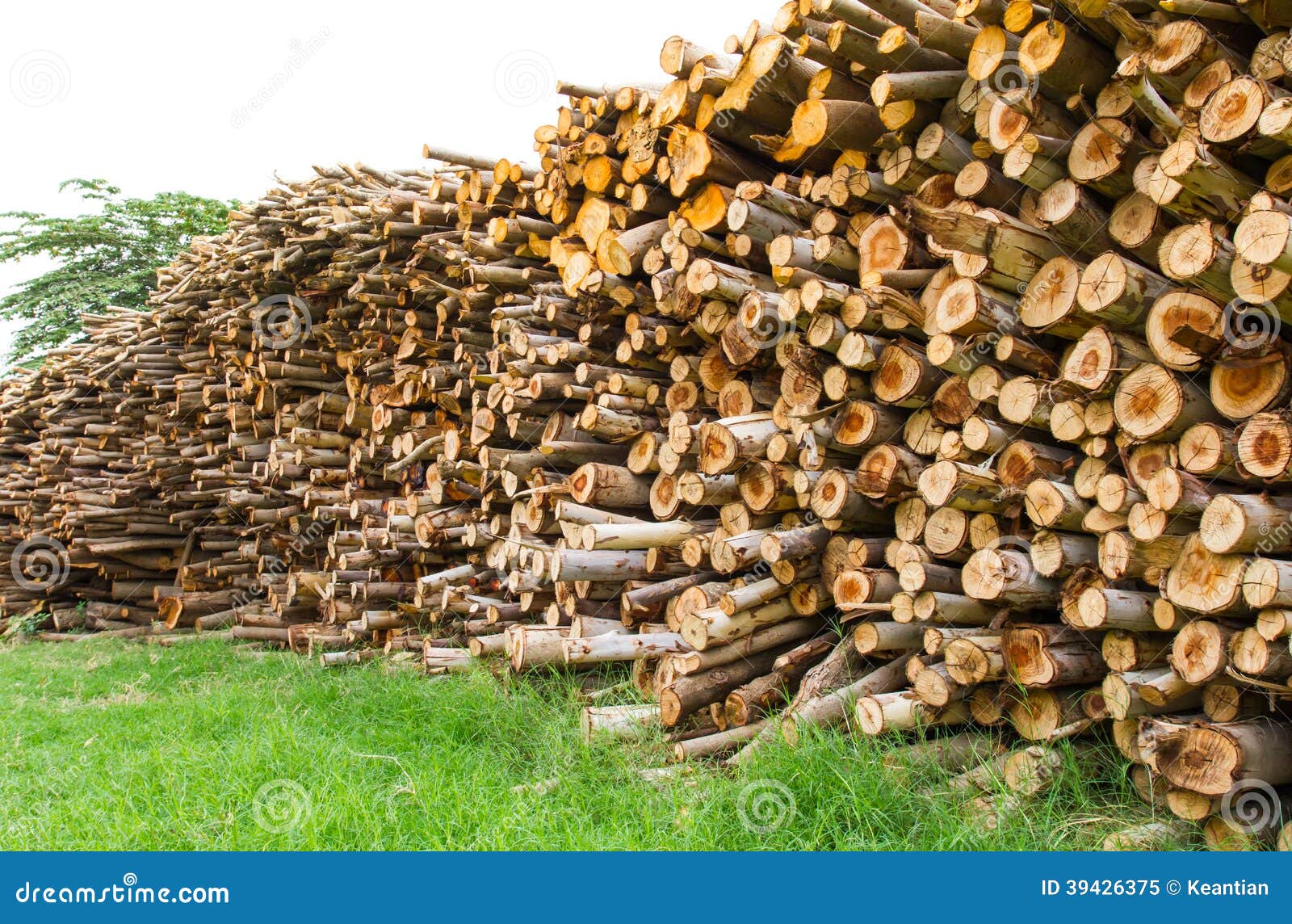 Wood pieces, stock image. Image of outdoors, firewood - 39426375