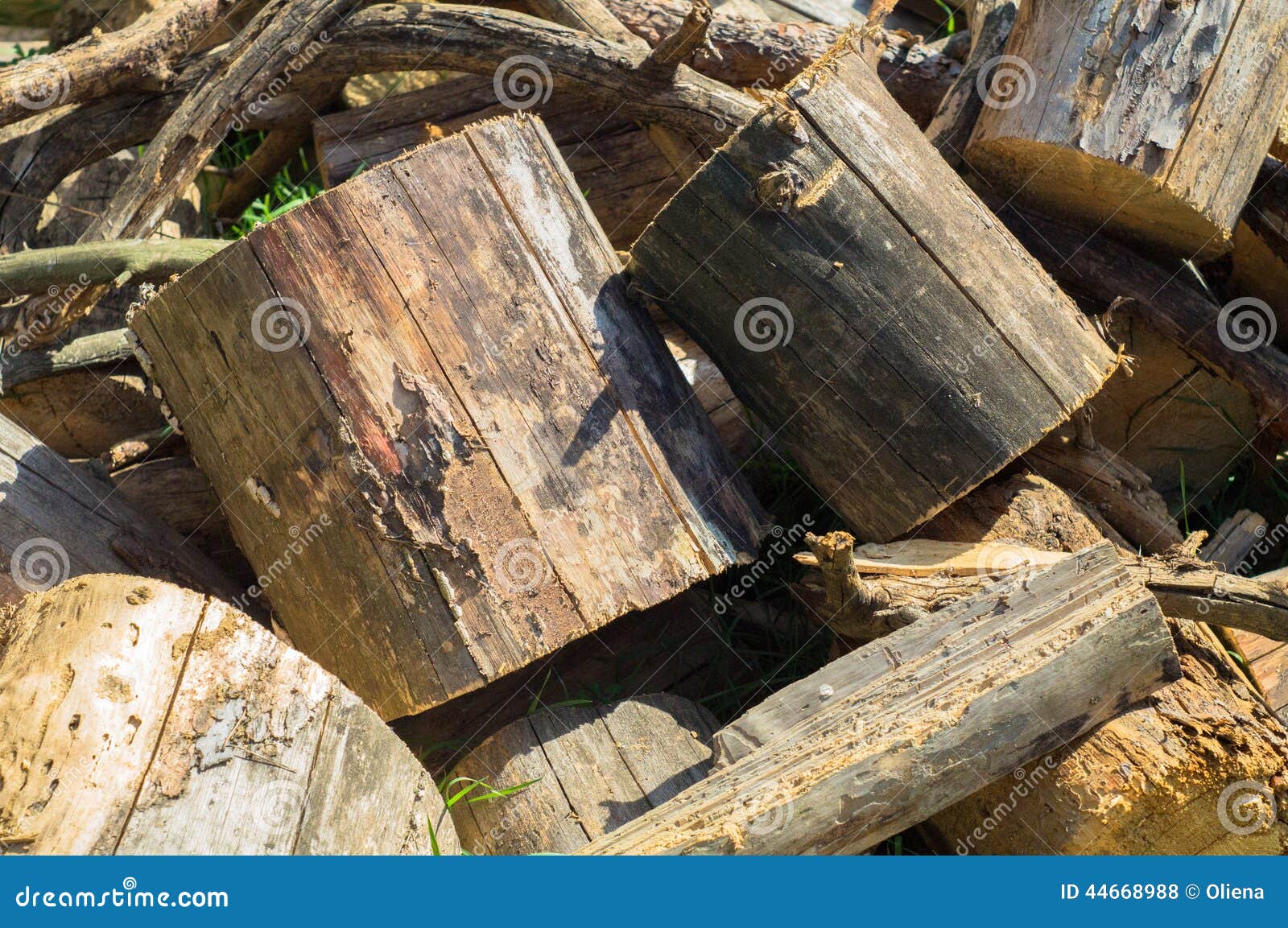 Wood pieces stock photo. Image of problem, agriculture - 44668988