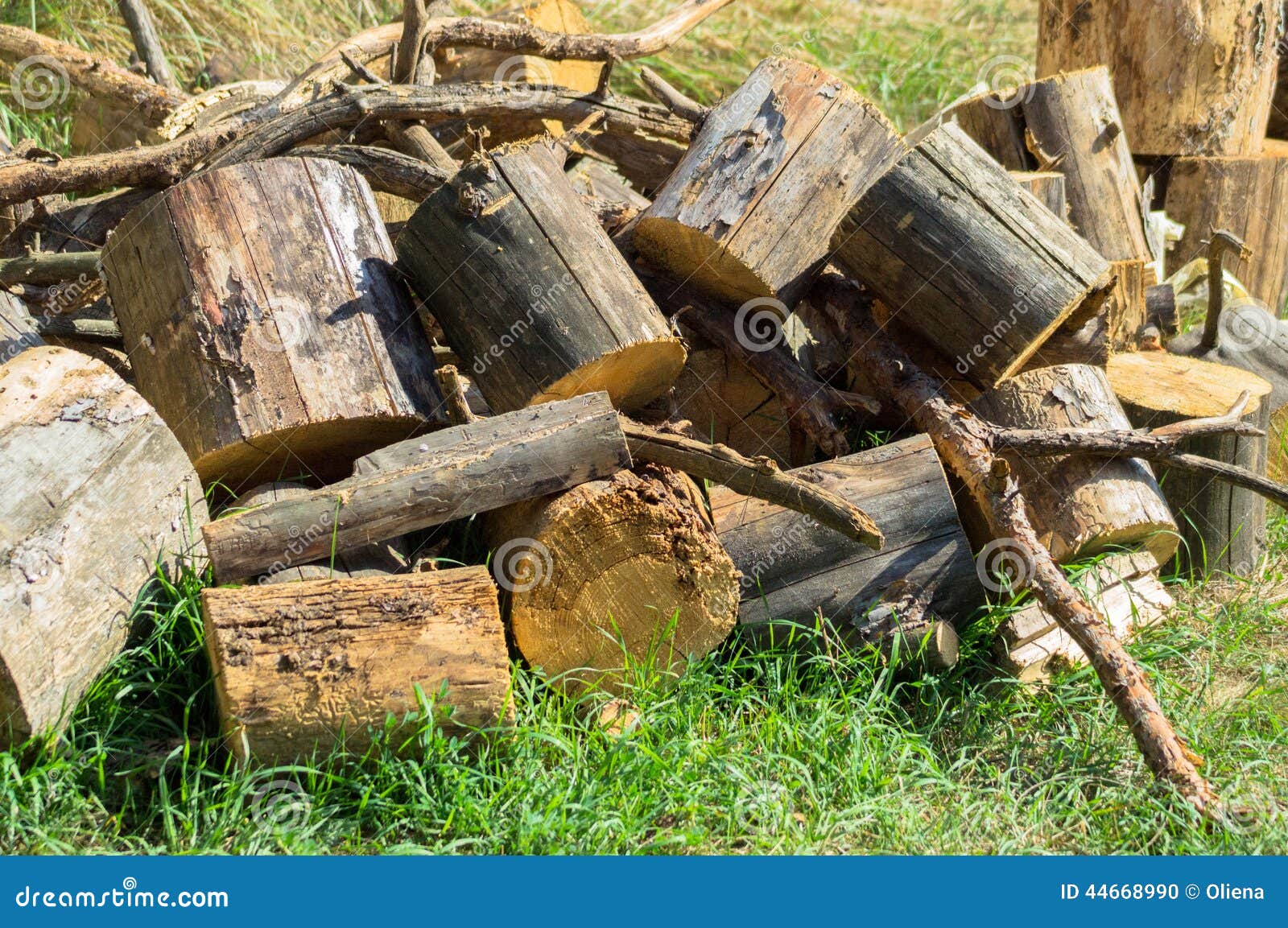 Wood pieces stock photo. Image of pine, wood, farm, tree - 44668990