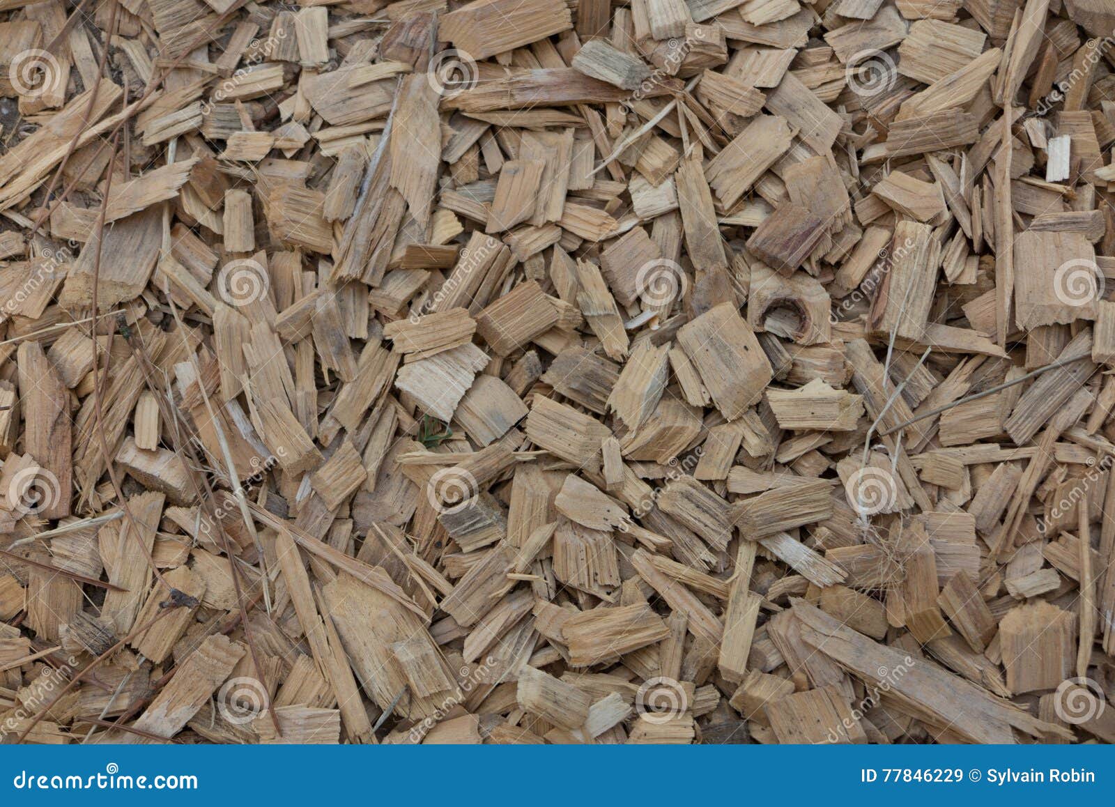 Wood Pieces Texture for a Designer Brown Stock Image - Image of white ...