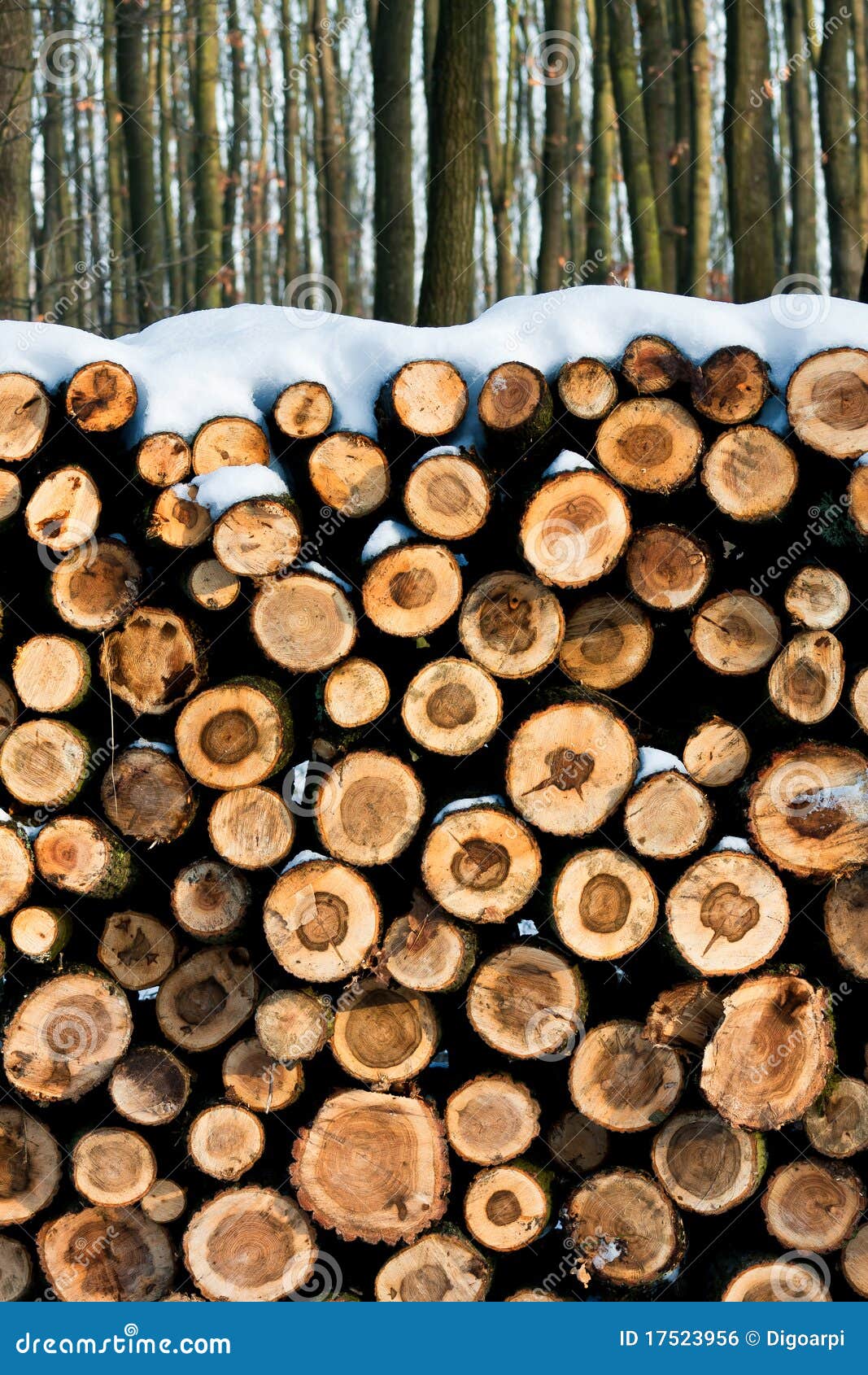 Wood-pile stock photo. Image of forest, stack, brown - 17523956