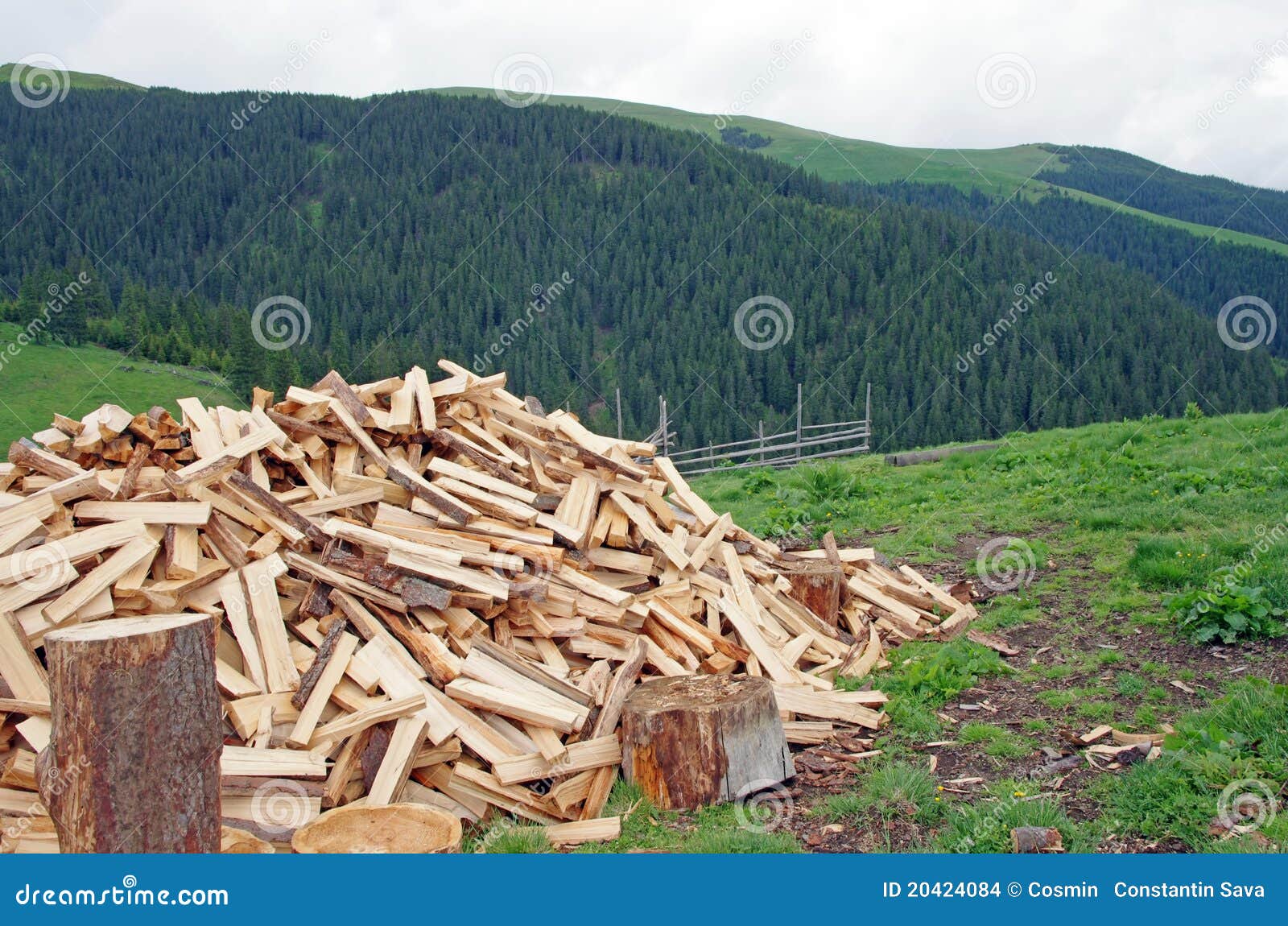 Wood pile stock photo. Image of close, build, business - 20424084