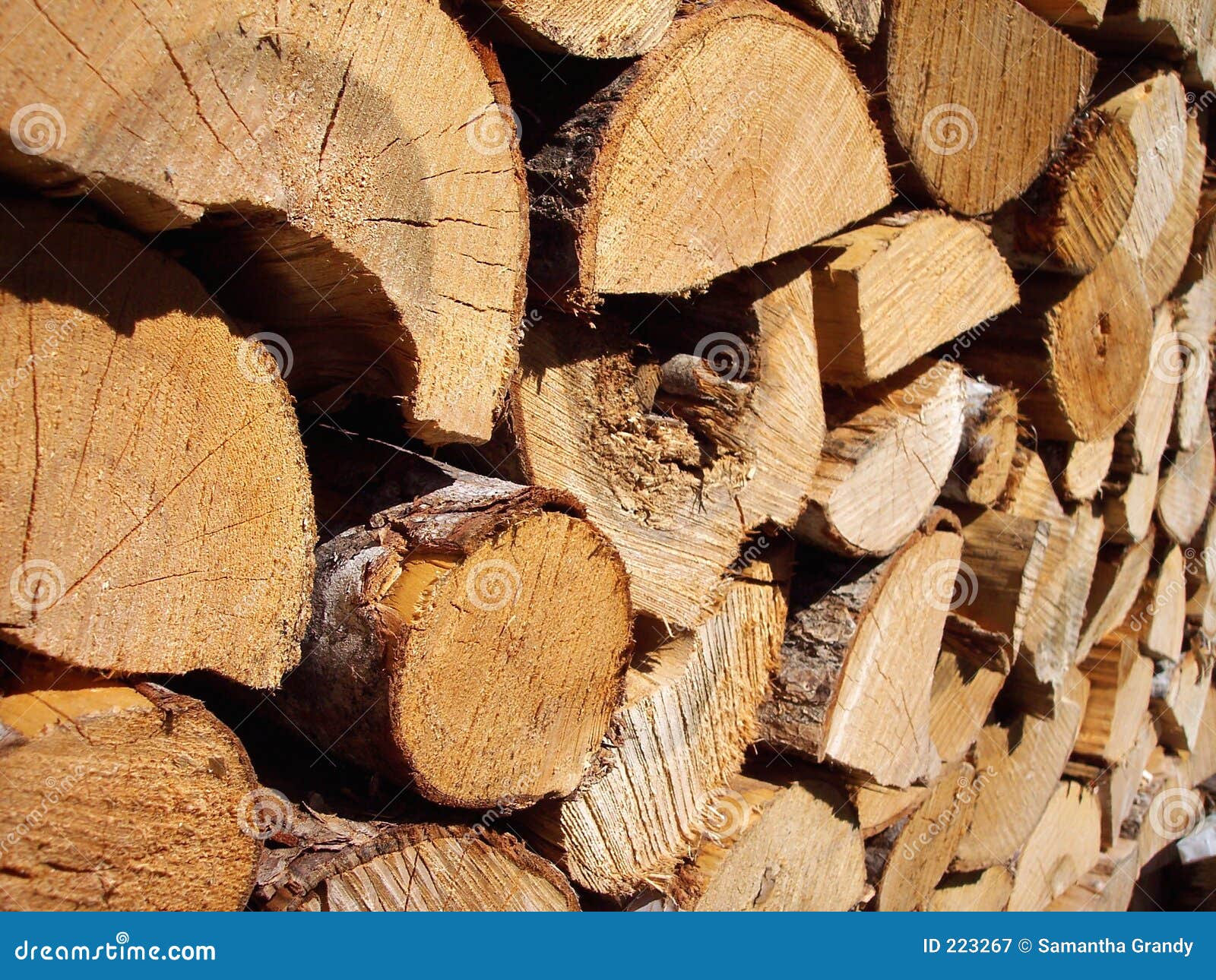 Wood Pile stock image. Image of timber, fuel, tree, birch - 223267