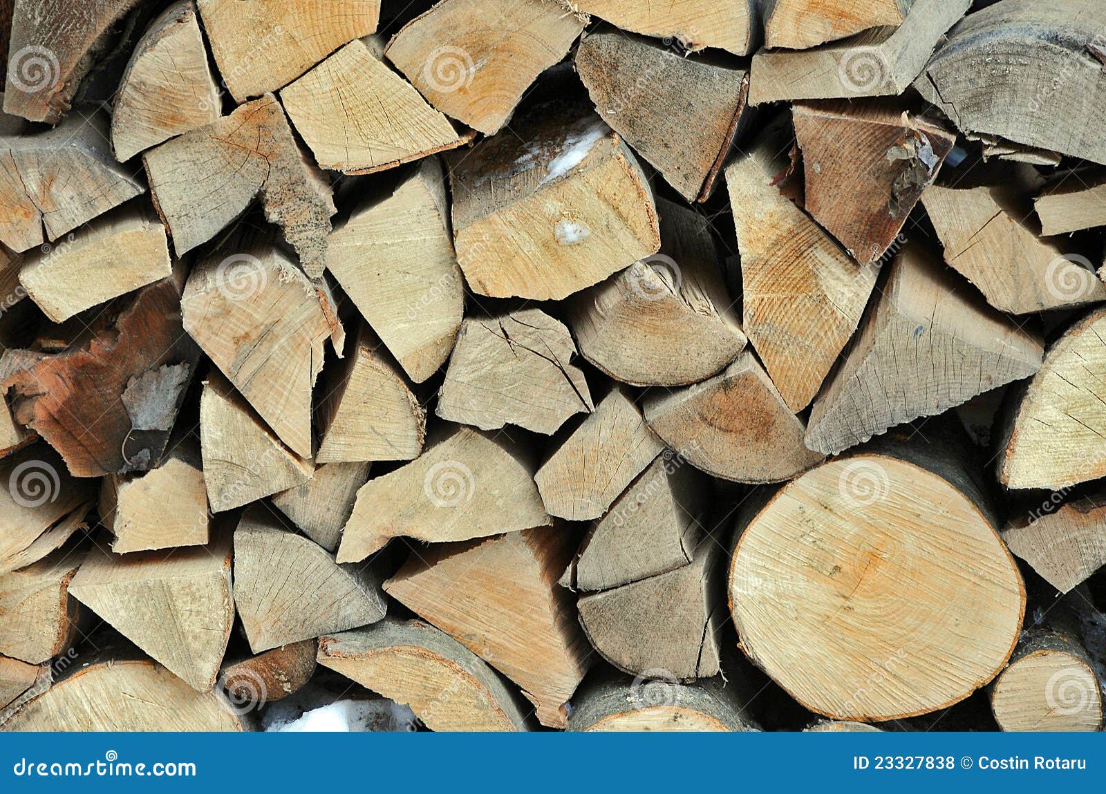 Wood pile stock photo. Image of shapes, shape, trees - 23327838