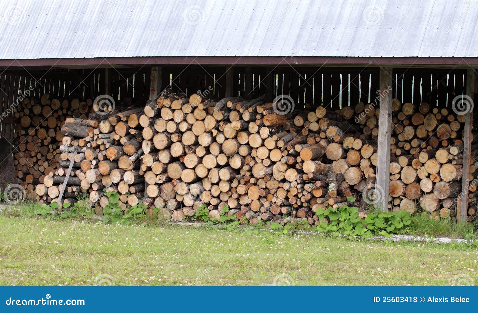 Wood pile stock photo. Image of stacked, woodpile, storage - 25603418