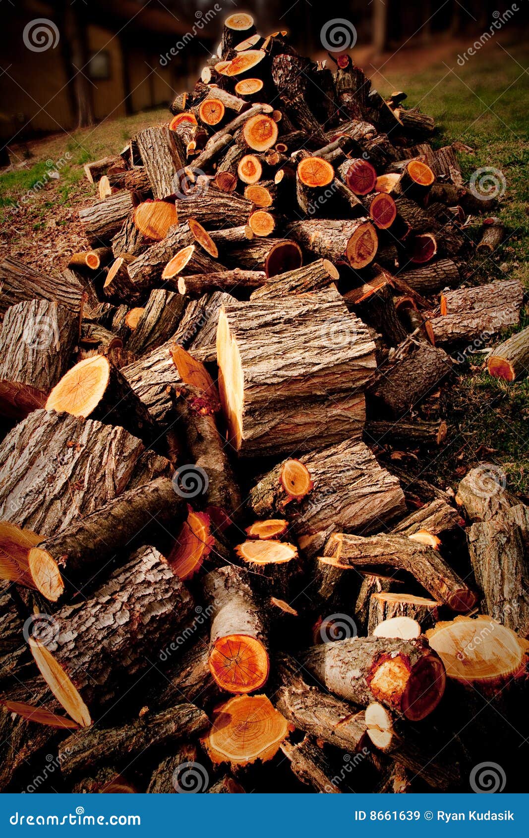 Wood pile stock image. Image of tree, stack, firewood - 8661639