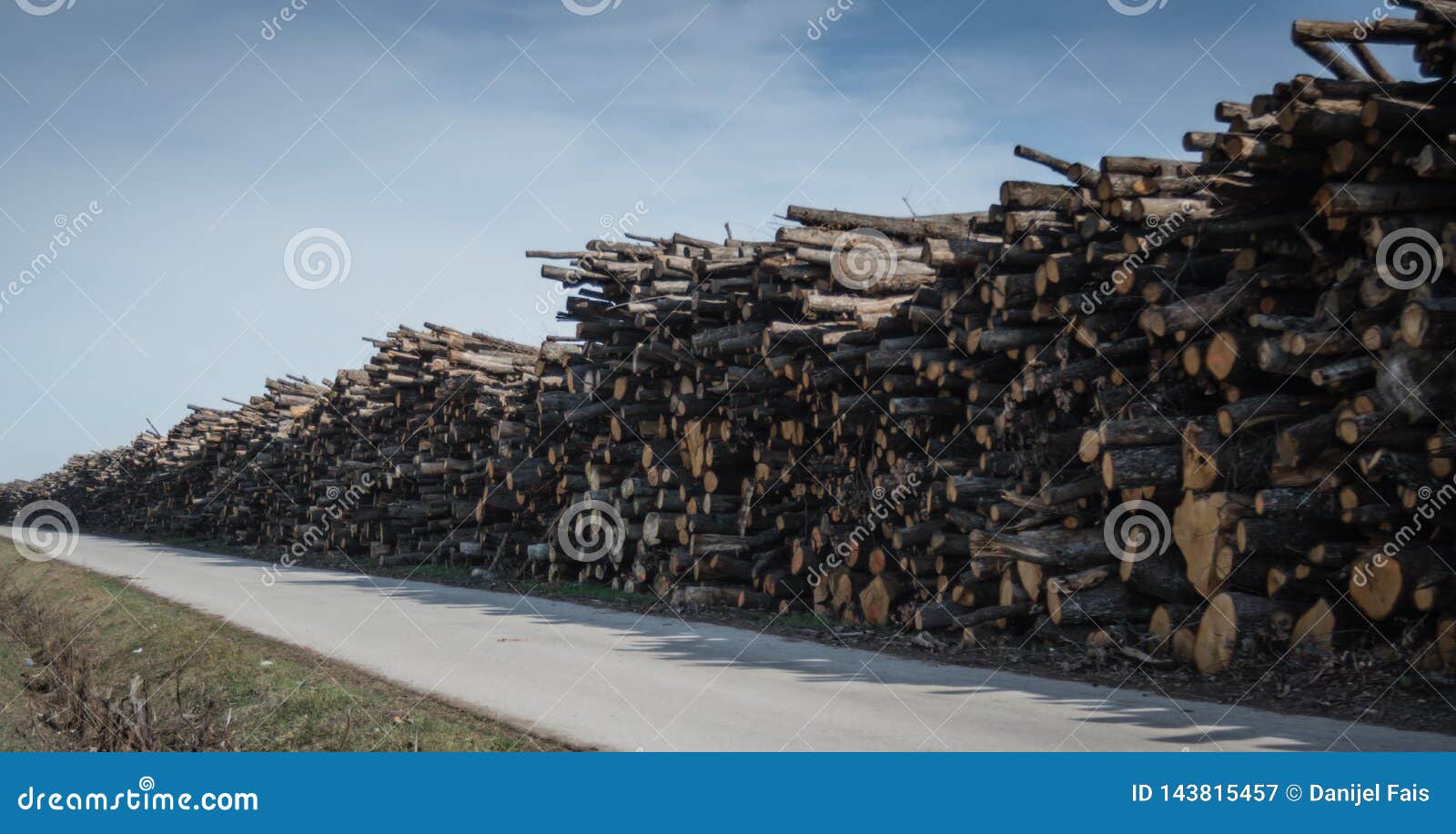 Wood Pile, Big Stack Outdoor with Clear Sky Stock Image - Image of mill ...
