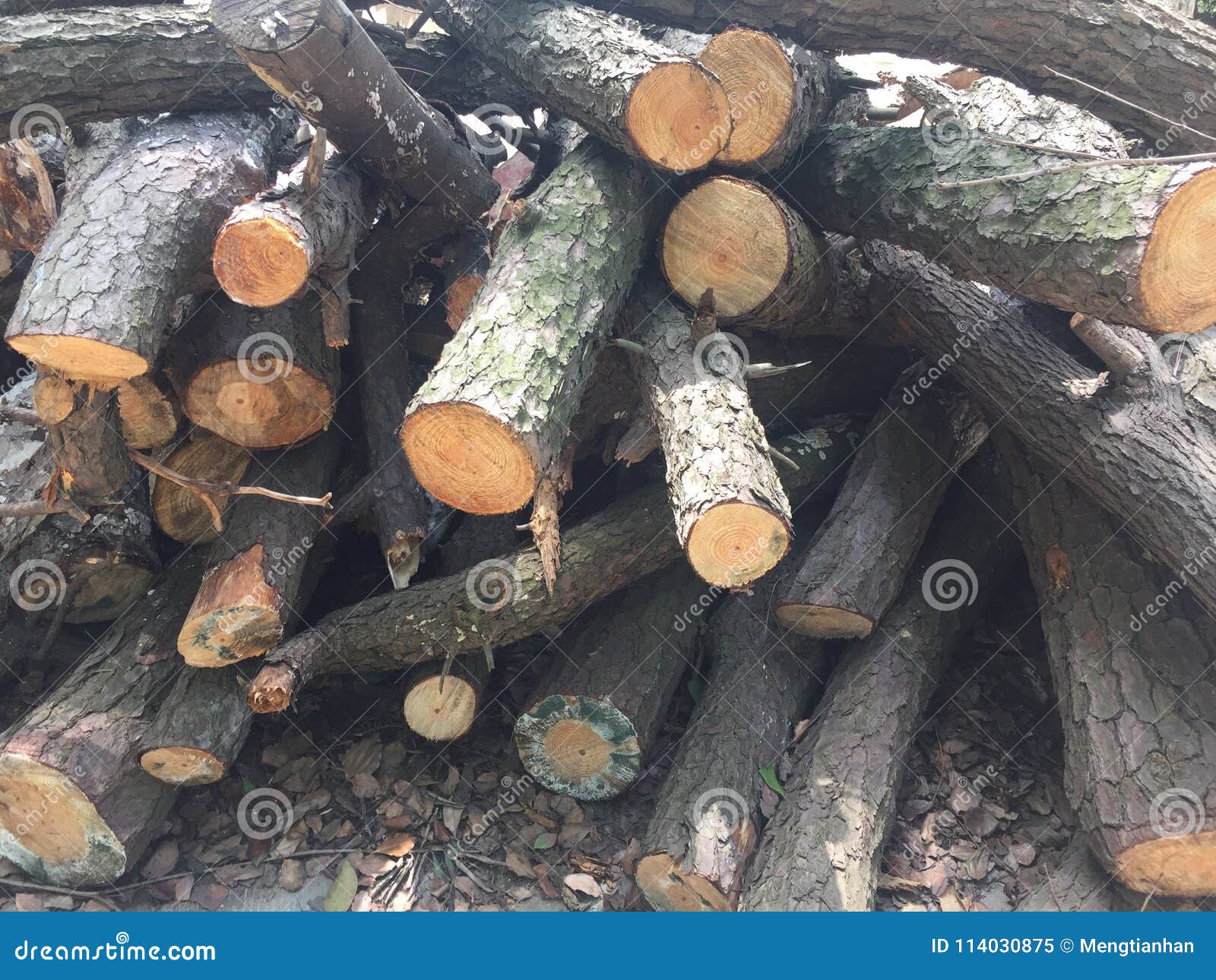 Wood pile stock image. Image of pile, mess, wood, waiting - 114030875