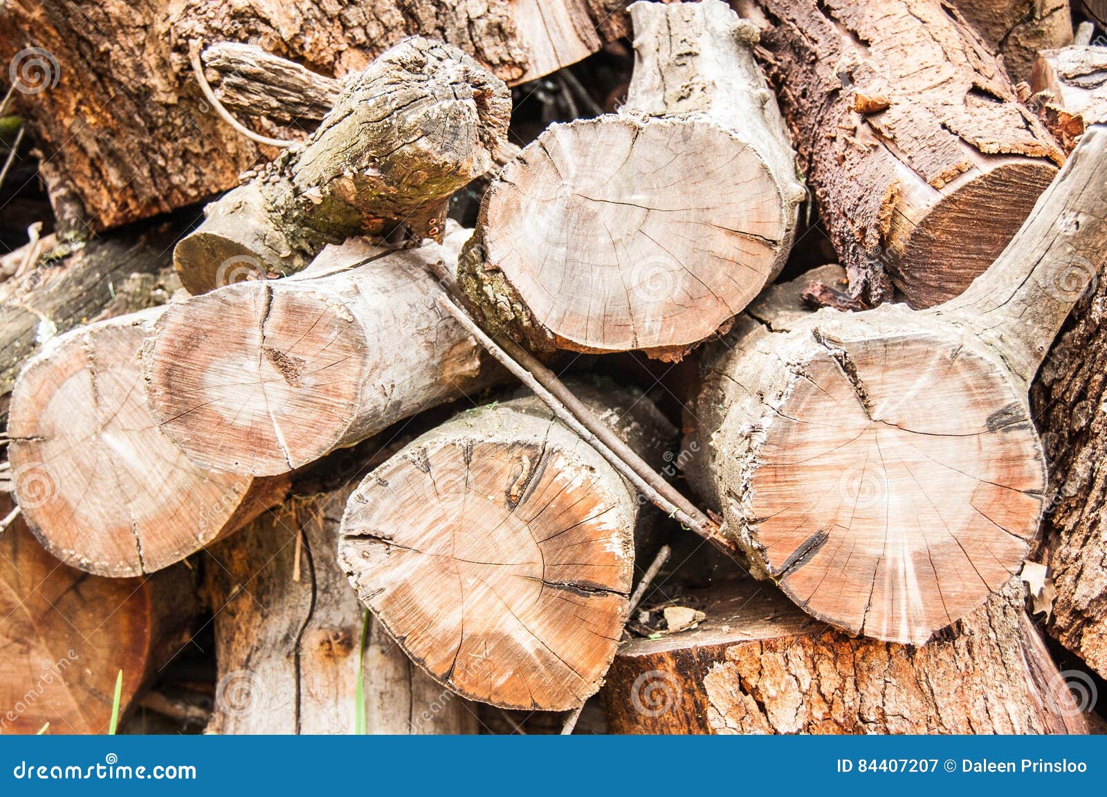 Wood Pile with Five Branches Stock Image - Image of timber, building ...