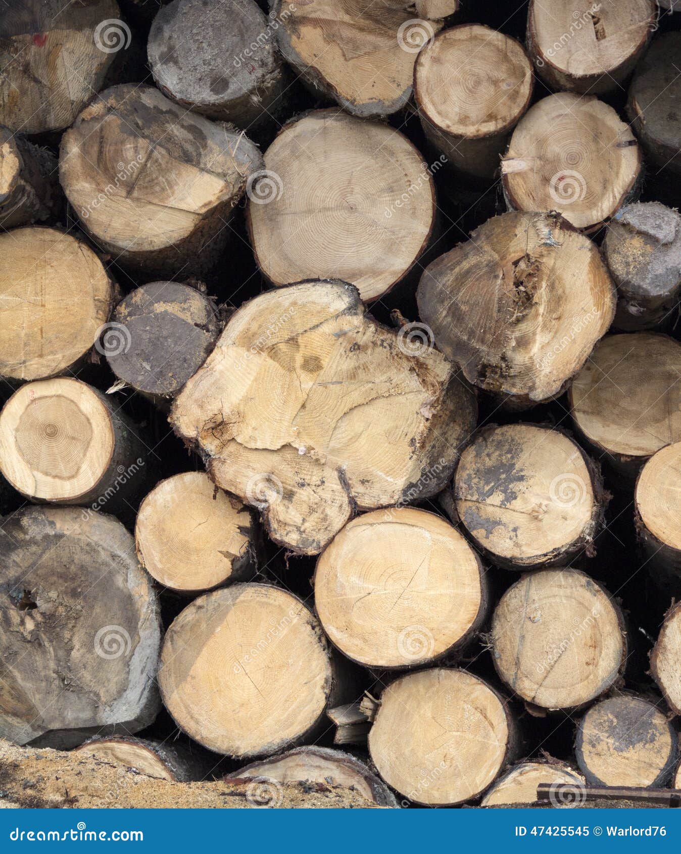 Wood pile stock image. Image of machine, timber, road - 47425545