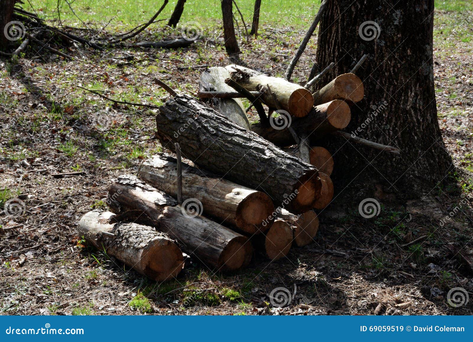 Wood pile stock image. Image of tree, outdoors, wood - 69059519