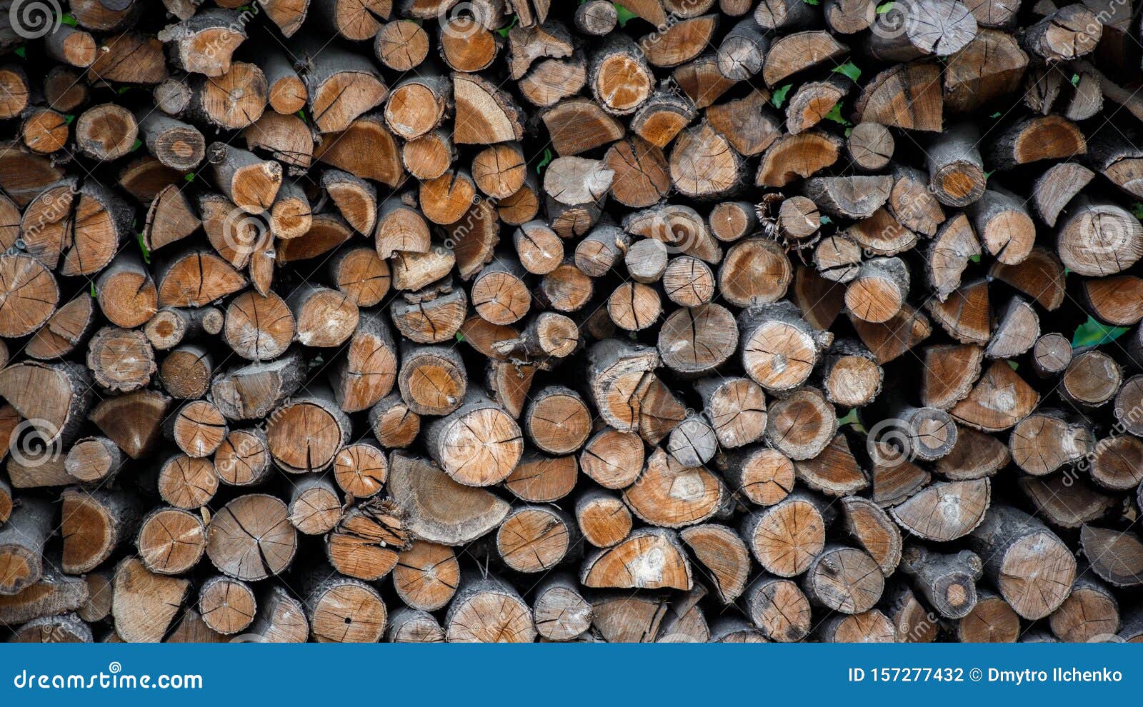 Wood pile, stack of wood stock photo. Image of farming - 157277432