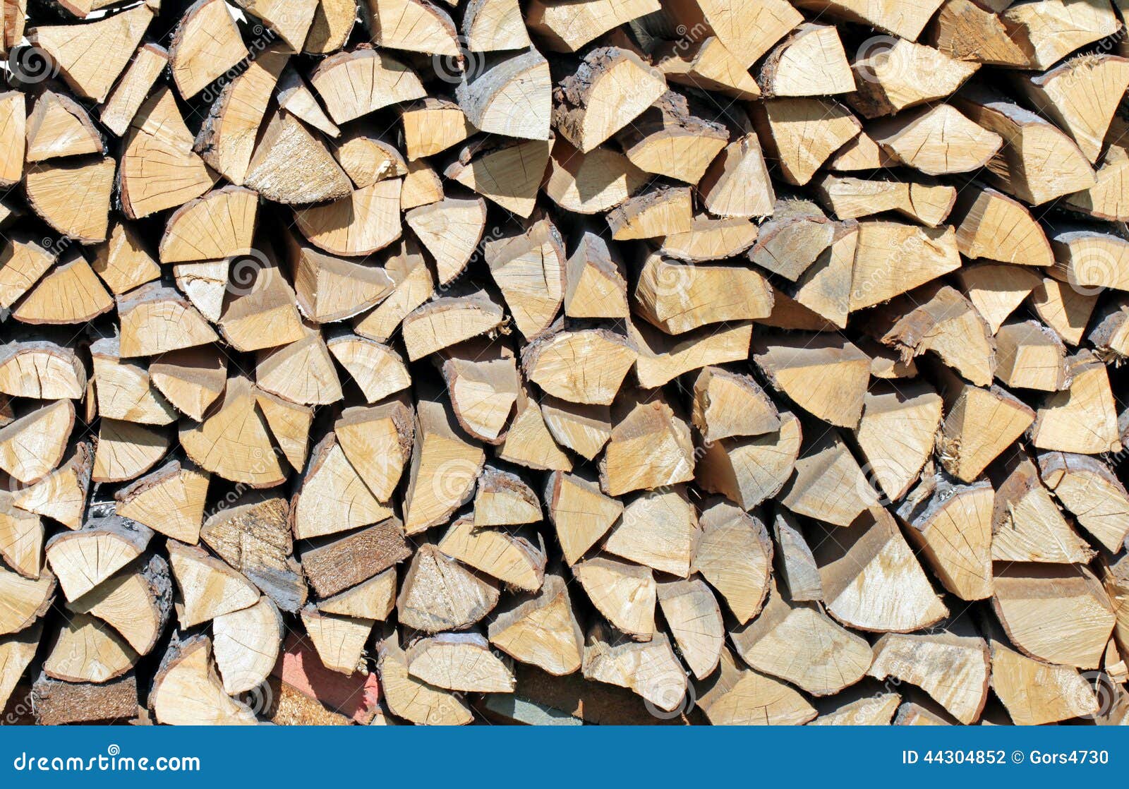 Wood pile stock photo. Image of front, crack, birch, ring - 44304852