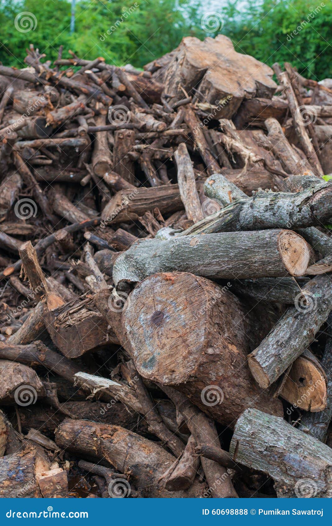 Wood pile of tree branch stock photo. Image of lumber - 60698888