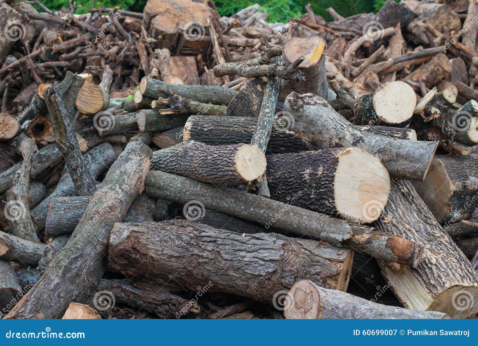Wood pile of tree branch stock image. Image of crack - 60699007