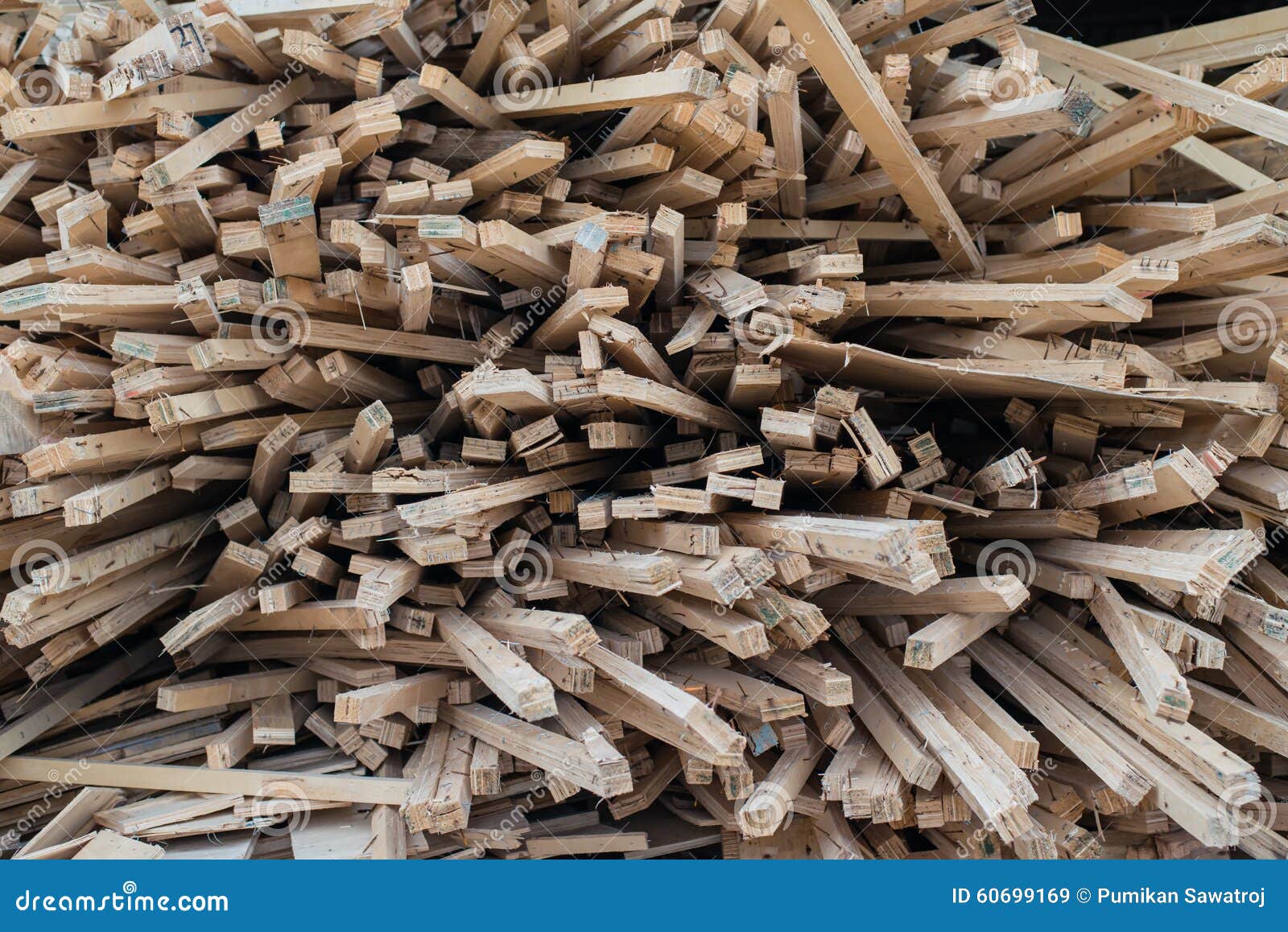 Wood pile of tree branch stock image. Image of nature - 60699169