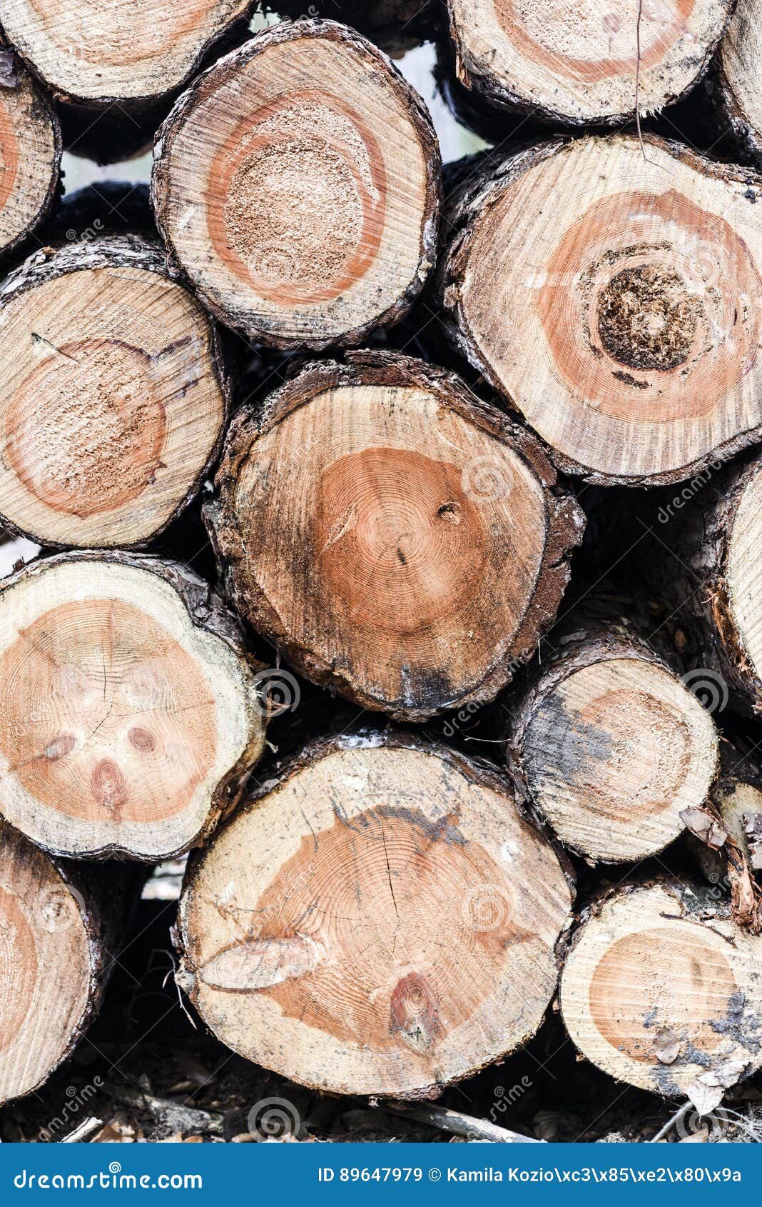 Wood Piled Up in the Forest. Stock Image - Image of lumber, nature ...