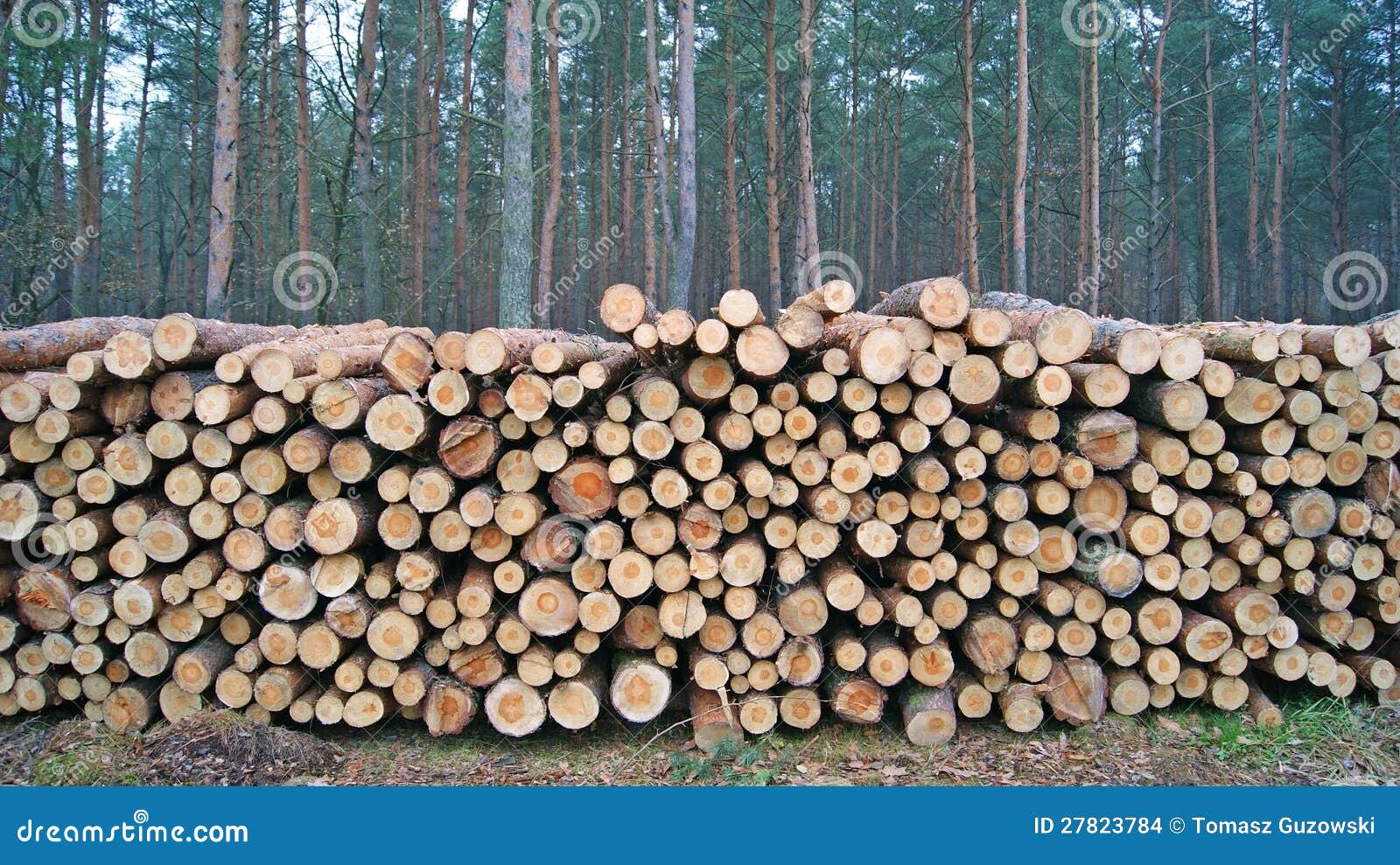 Wood Piles Stock Images - Image: 27823784