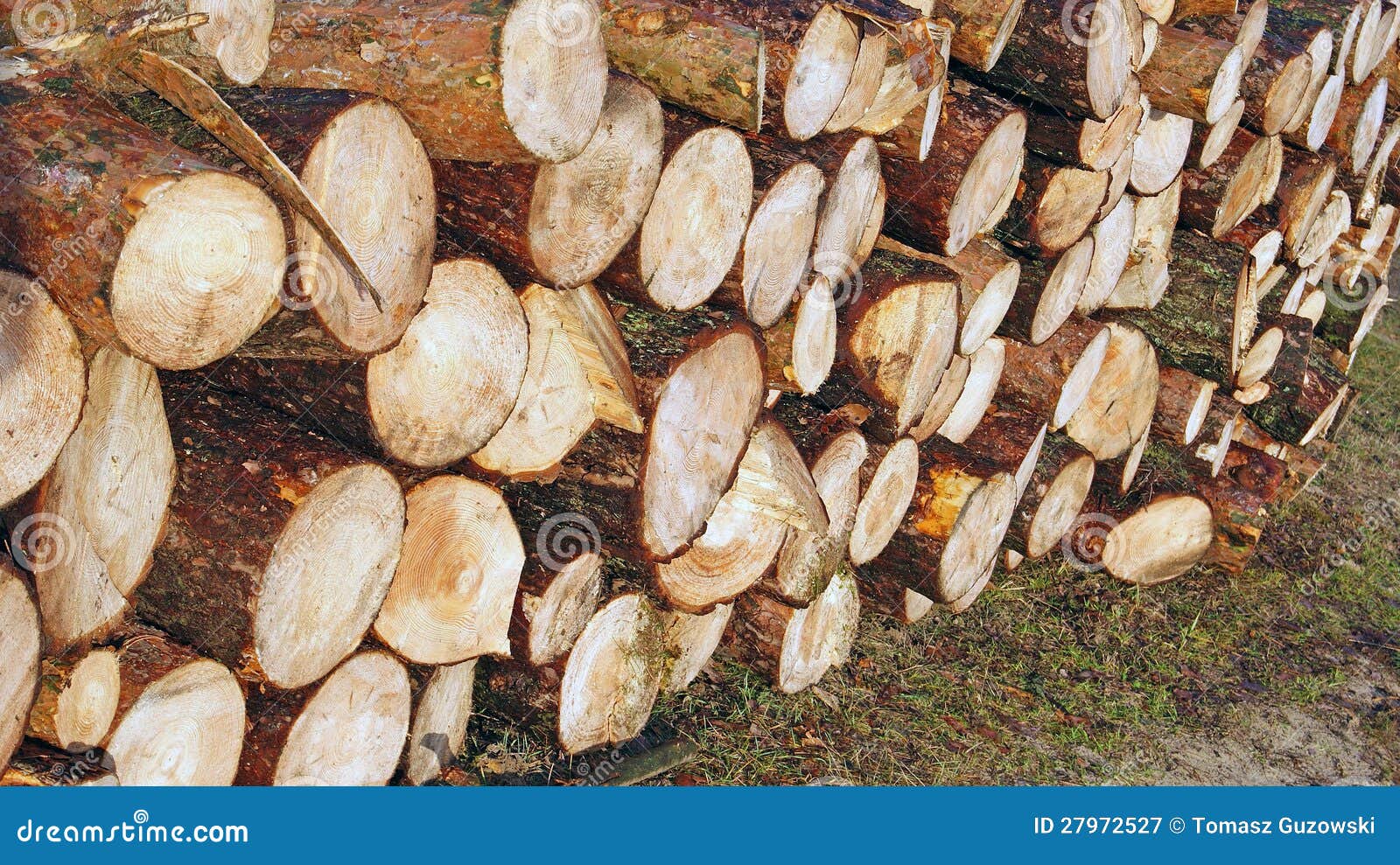 Wood piles stock image. Image of rings, trunk, green - 27972527