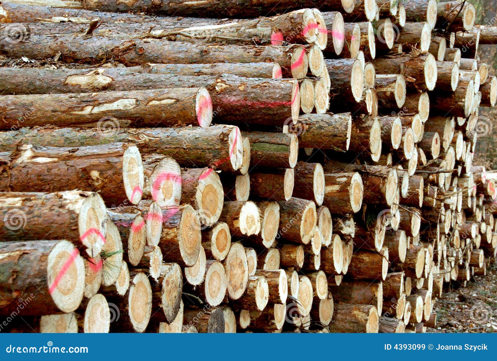 Wood piles stock image. Image of pile, lumber, forestry - 4393099