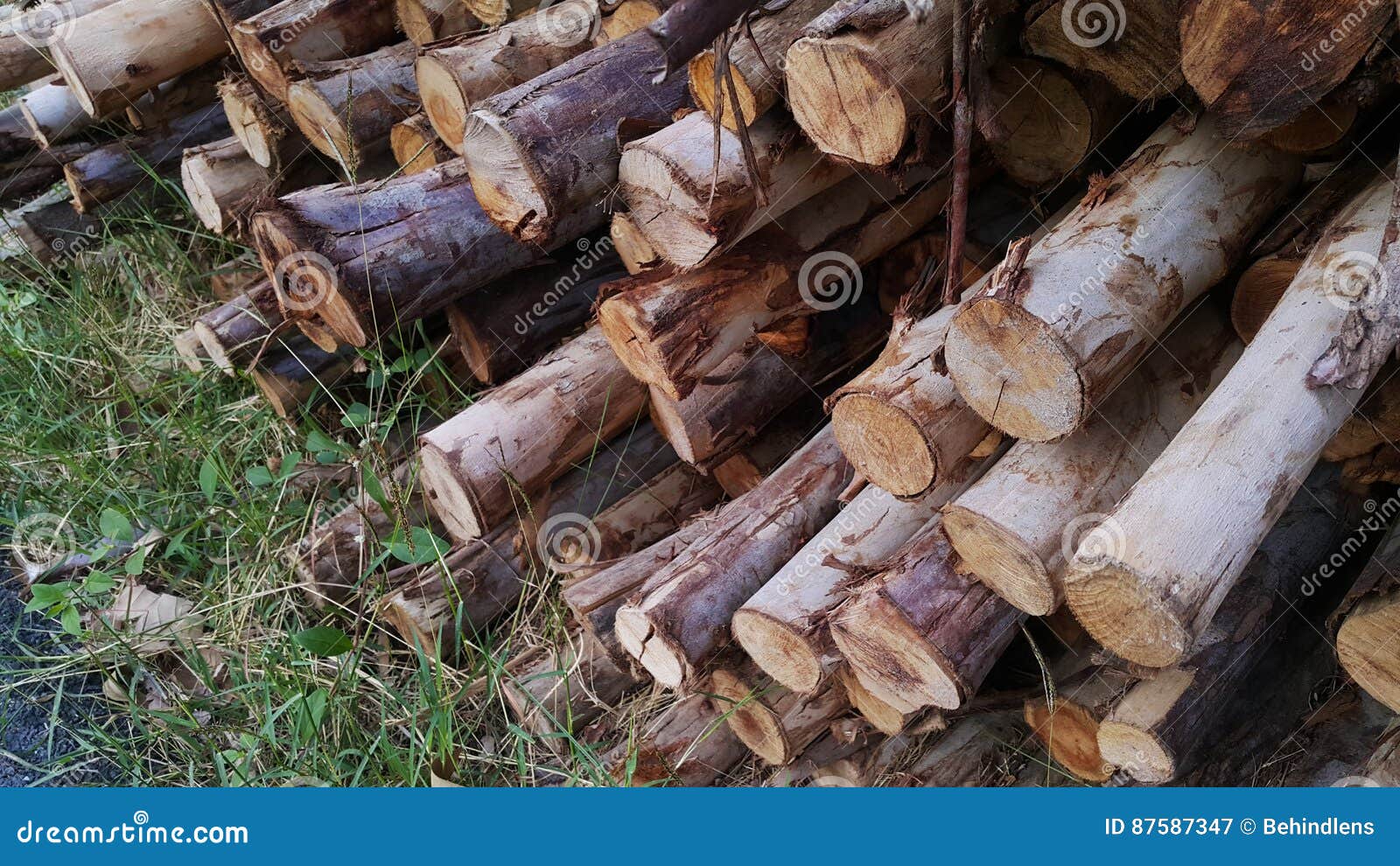 Wood Piles Prepared for Construction. Stock Image - Image of pile, bark ...