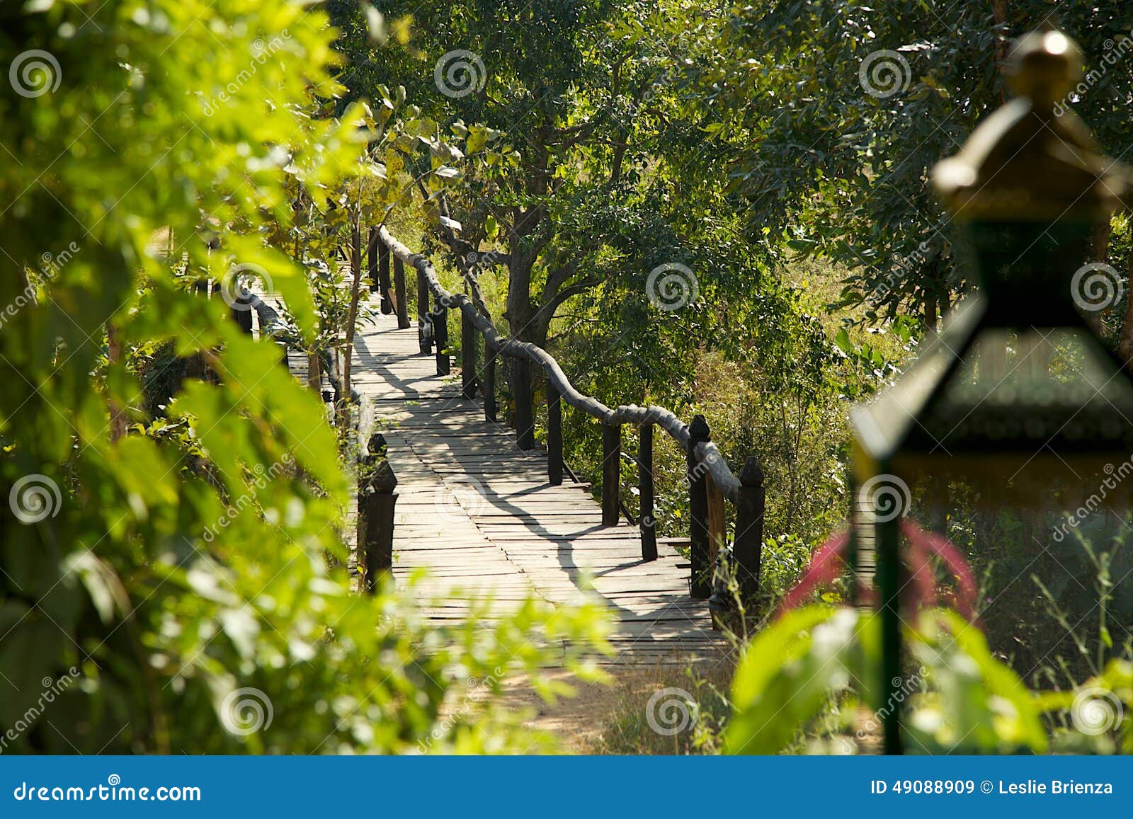 Wood Plank Path Over Pond with Lantern in Foreground Stock Image ...