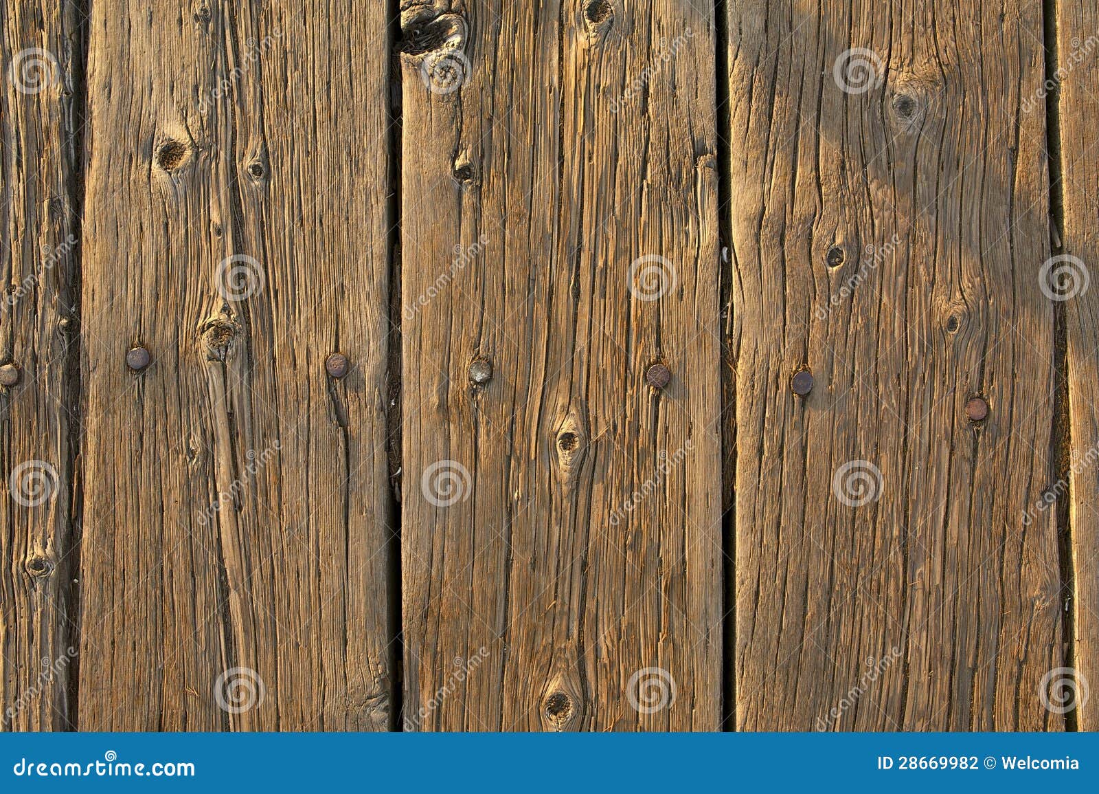 Wood Planks stock photo. Image of wall, planks, knot - 28669982