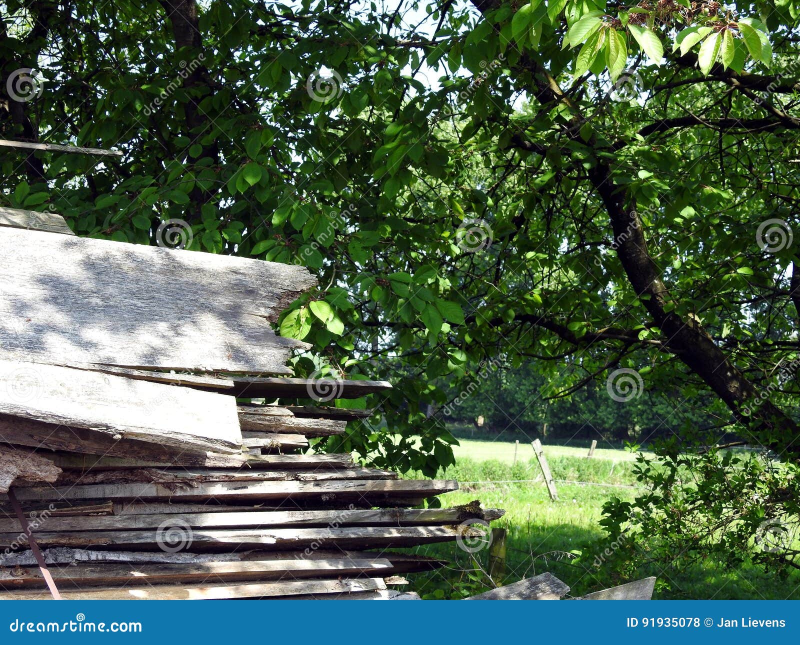 Wood planks on lumber yard stock photo. Image of pile - 91935078