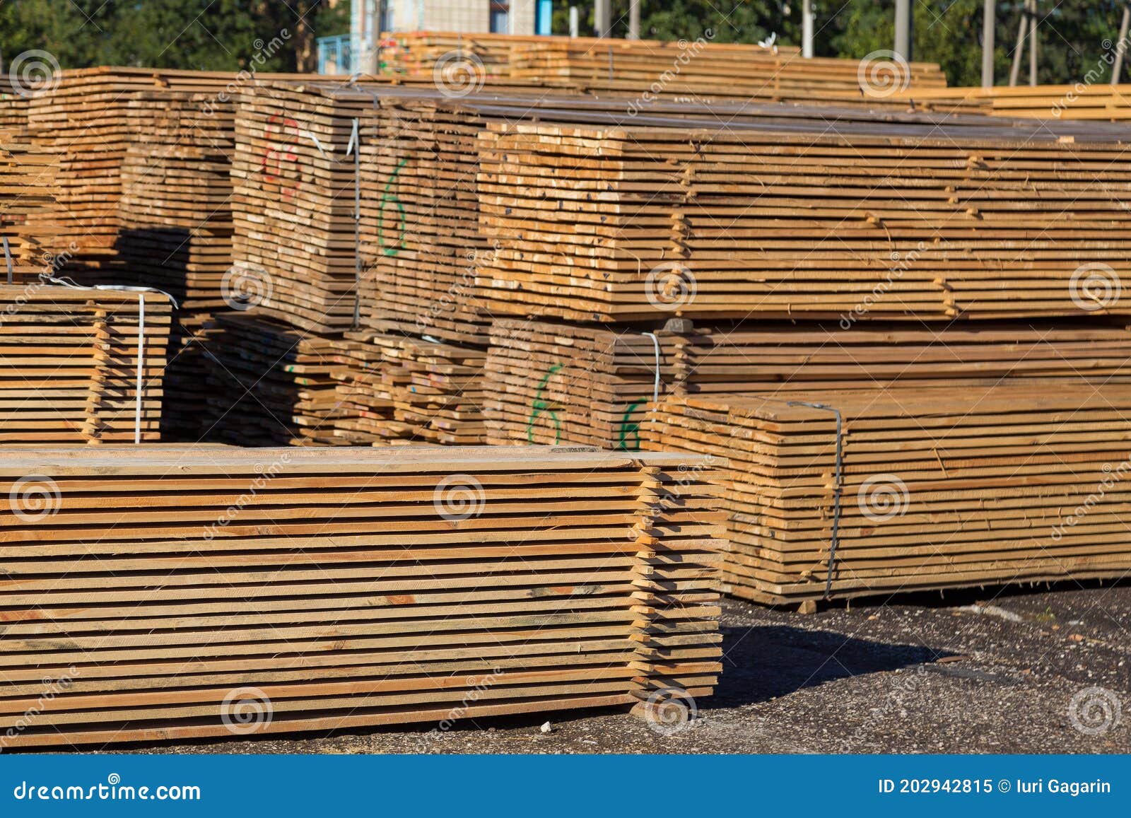 Wood Planks for Sale. Stacks of Processed Wood at the Timber Yard Stock ...