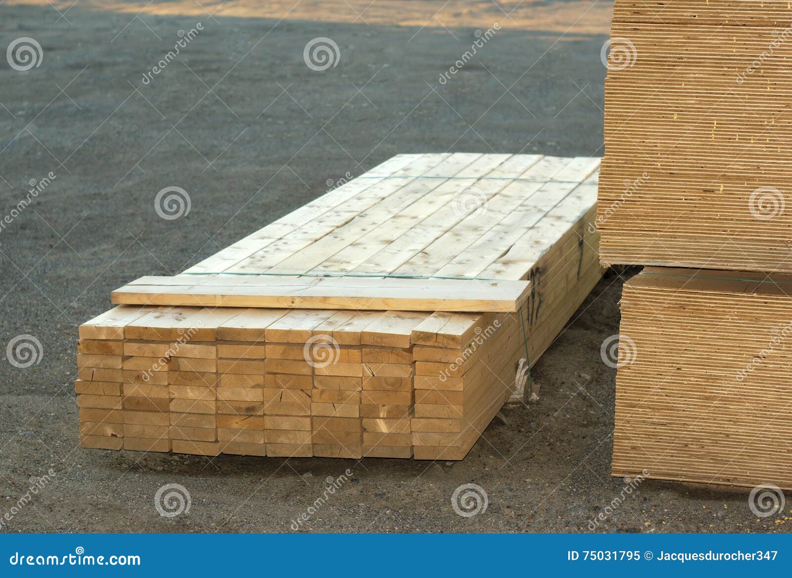 Wood Planks Stacked on Construction Site Stock Image - Image of tree ...
