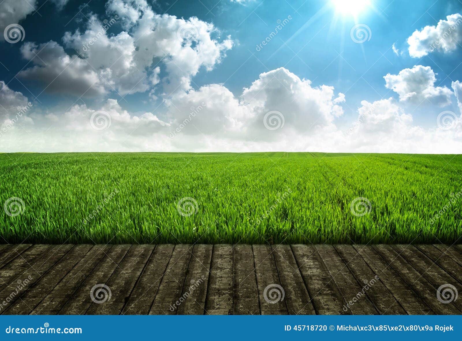 Wood Platform and Fresh Grass Field Stock Photo - Image of land ...