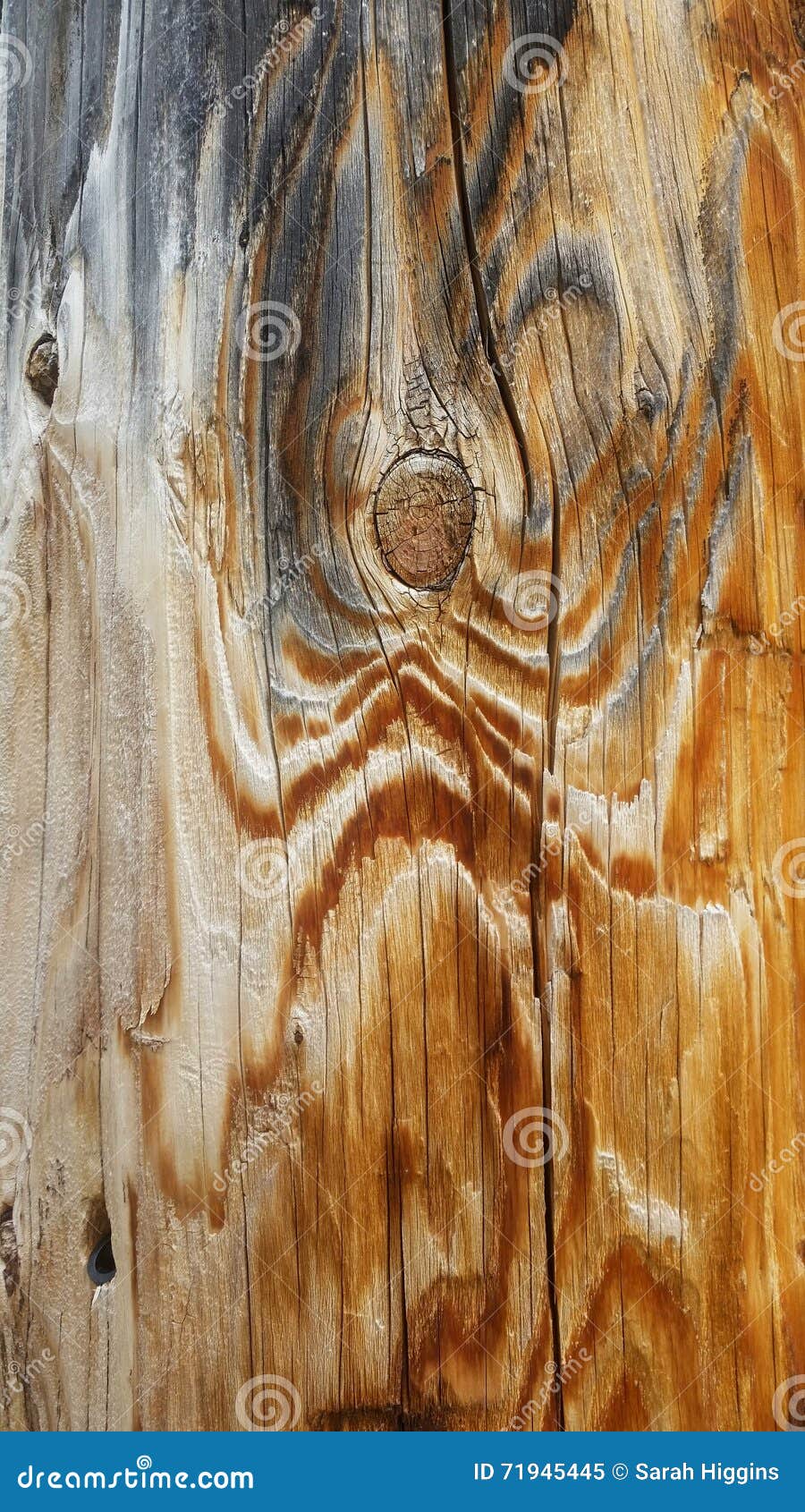 Wood pole stock image. Image of pole, wood, color, texture - 71945445