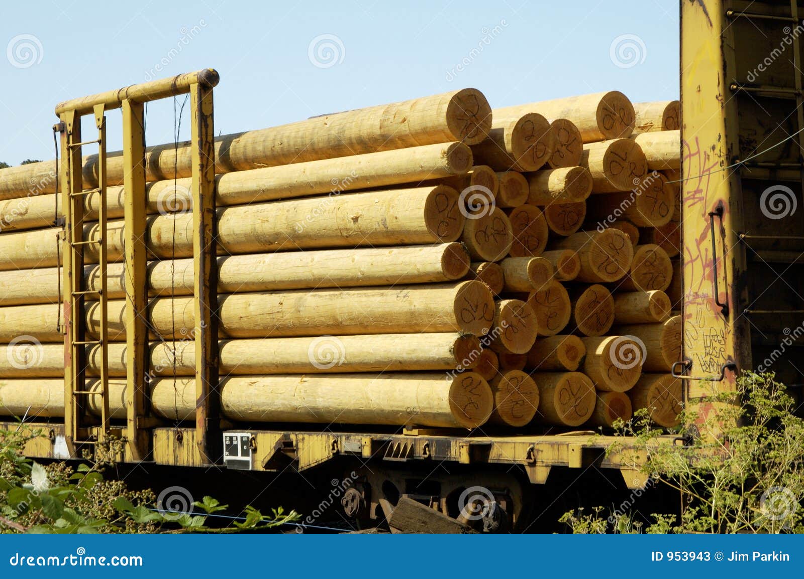 Wood Poles 1 stock image. Image of sawmill, trees, logging - 953943
