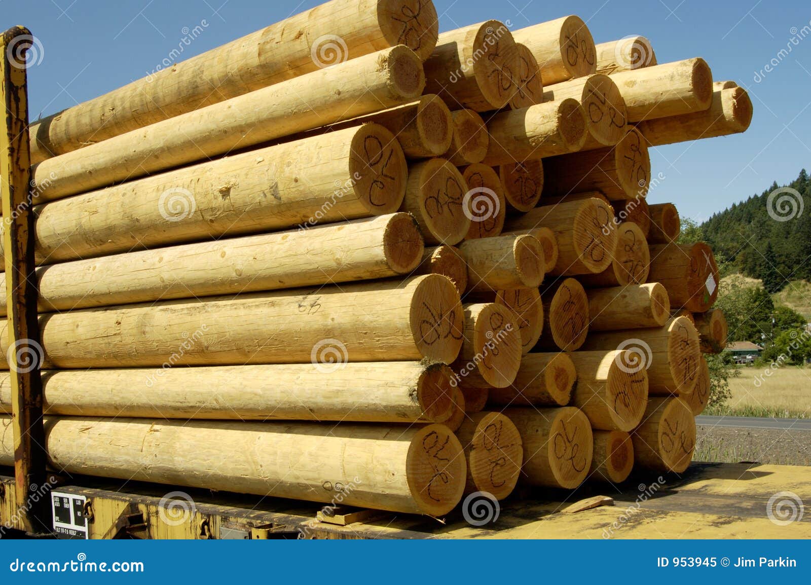 Wood Poles 2 stock image. Image of logs, harvest, railroad - 953945