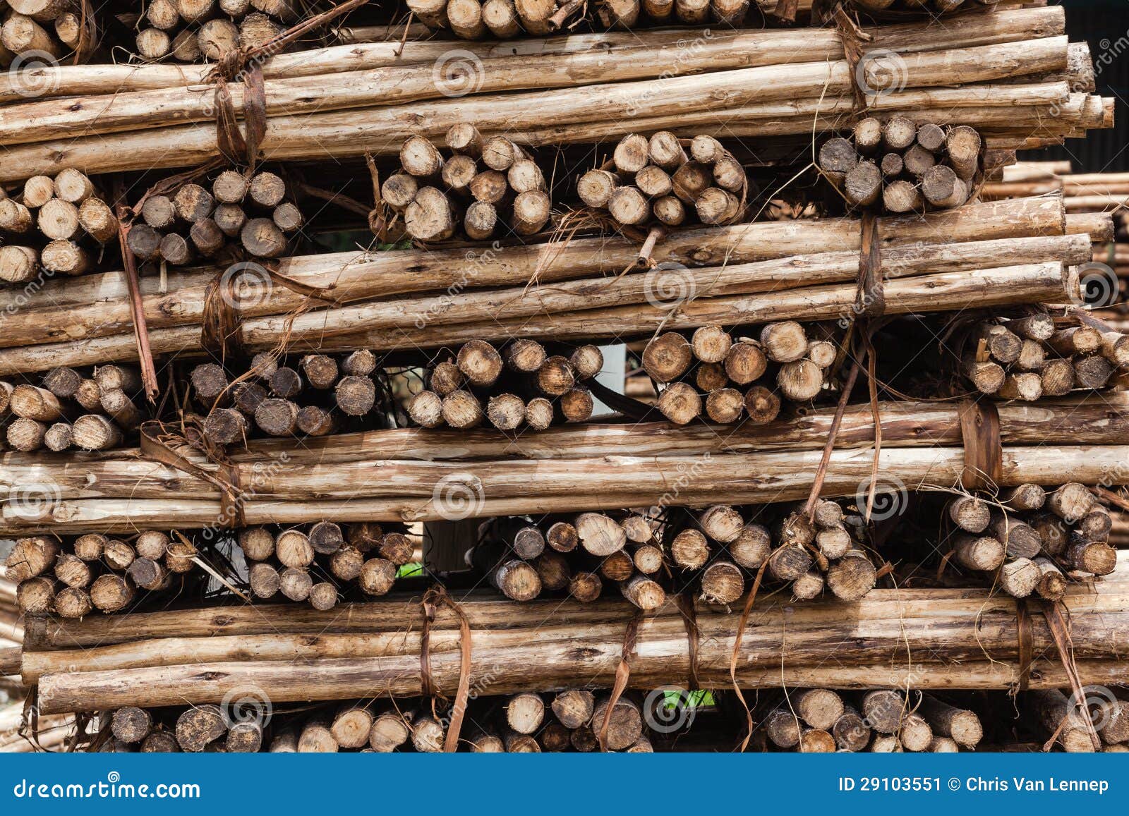 Wood Poles Cut Stacked stock image. Image of detail, farming - 29103551