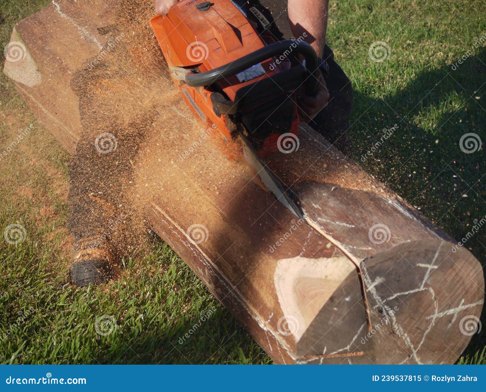 Wood Post Cutting Competition Stock Image - Image of absolutely, wood ...