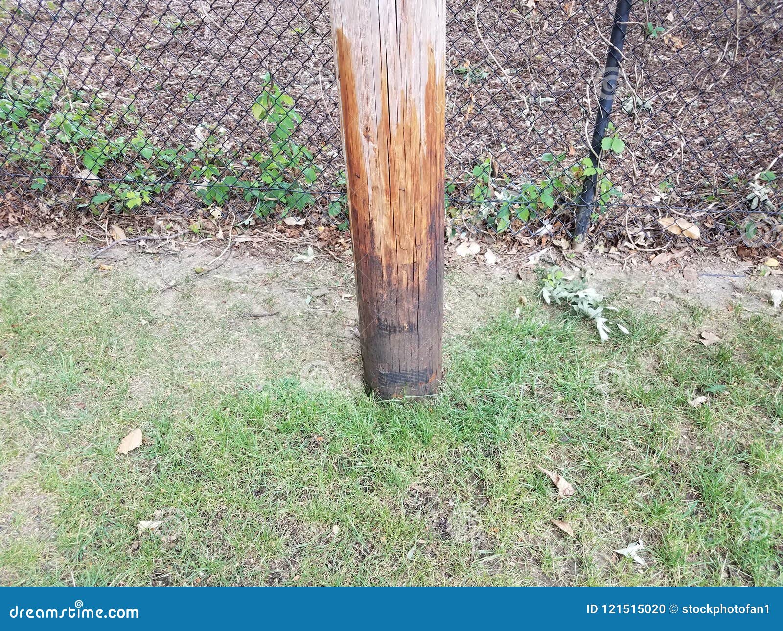 Wood Post in Green Grass with Tar on it Stock Photo - Image of metal ...