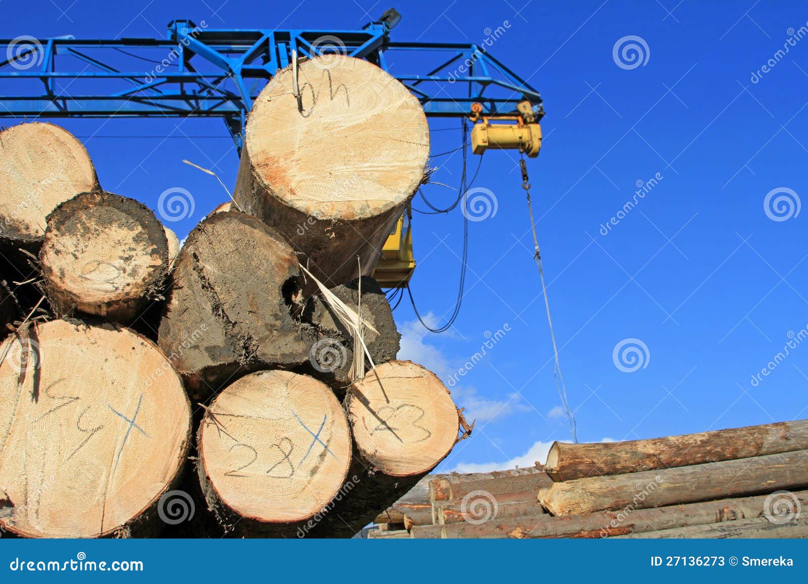 Wood preparation stock image. Image of forest, harvest - 27136273