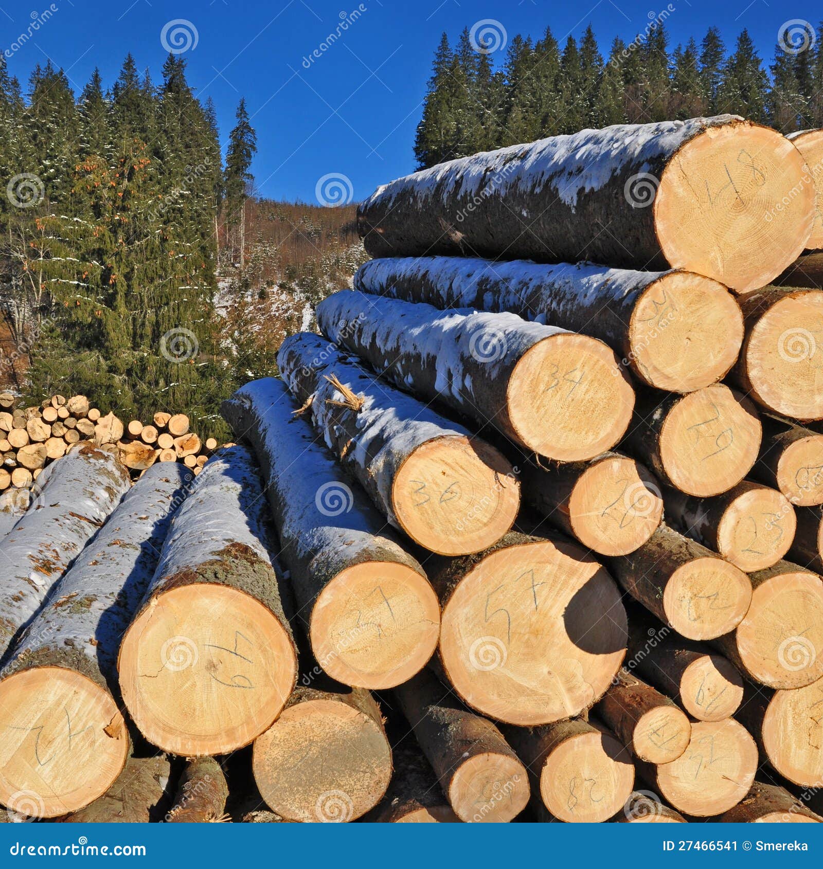 Wood preparation stock image. Image of ricking, stick - 27466541