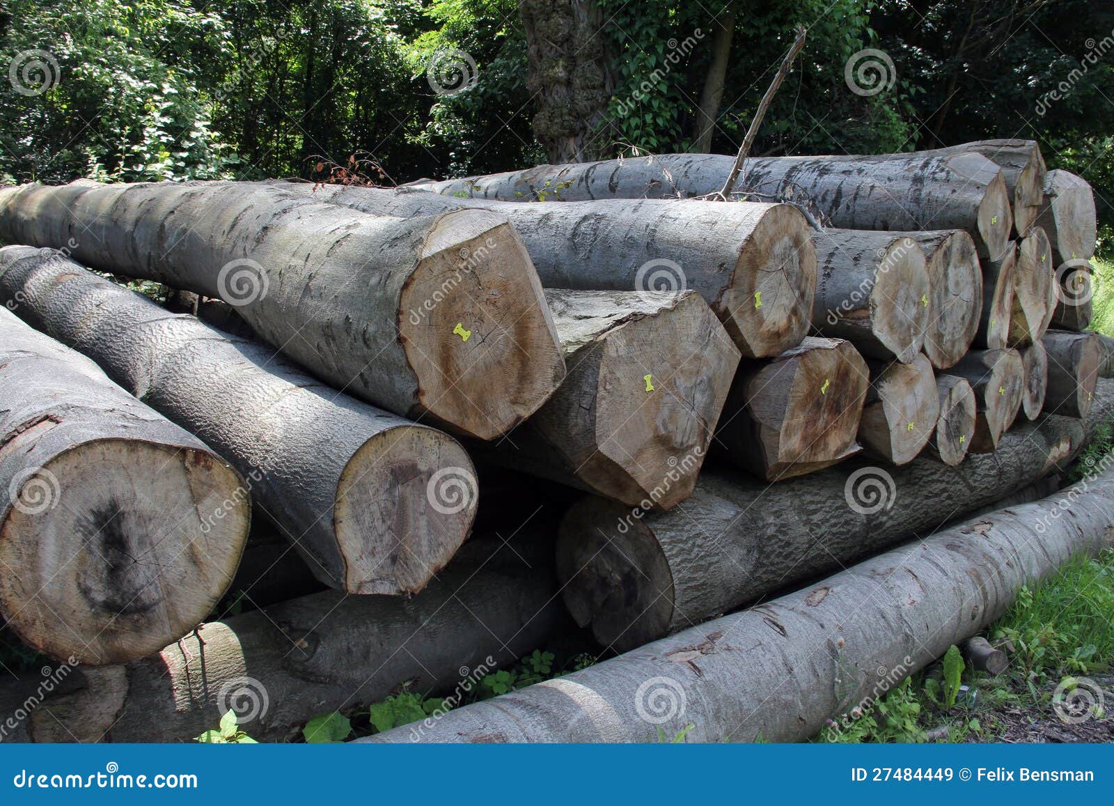 Wood preparation stock image. Image of storing, logging - 27484449